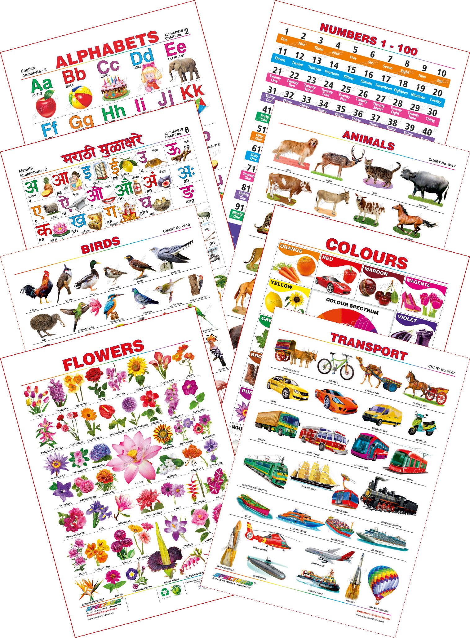 Spectrum Educational Mini Wall Chart Set Of 8 Set 22 | Desertcart New ...