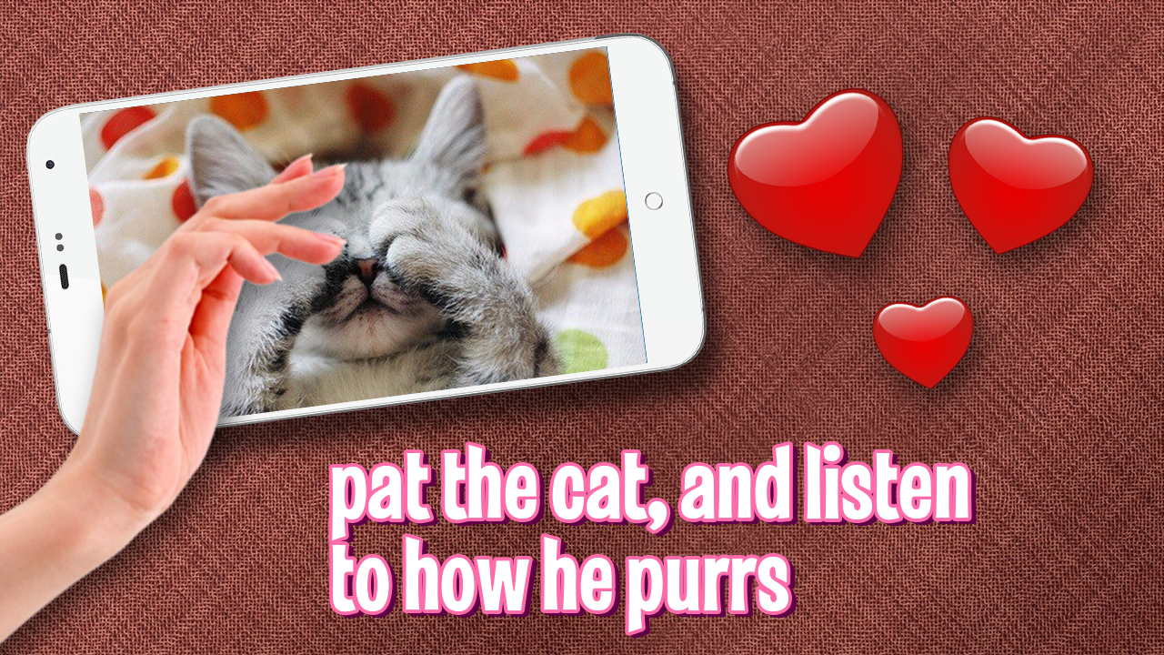 Pat Cute Kitten - App on the Amazon Appstore