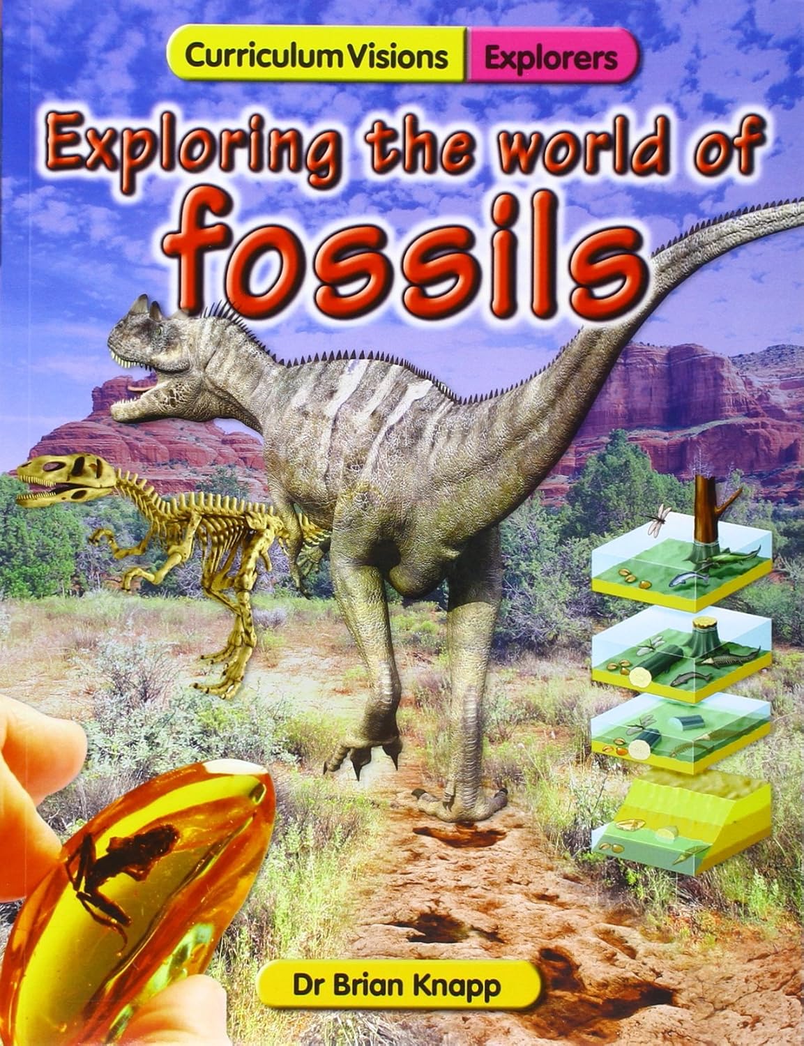 Amazon | Exploring the World of Fossils | Knapp, Brian | Science ...