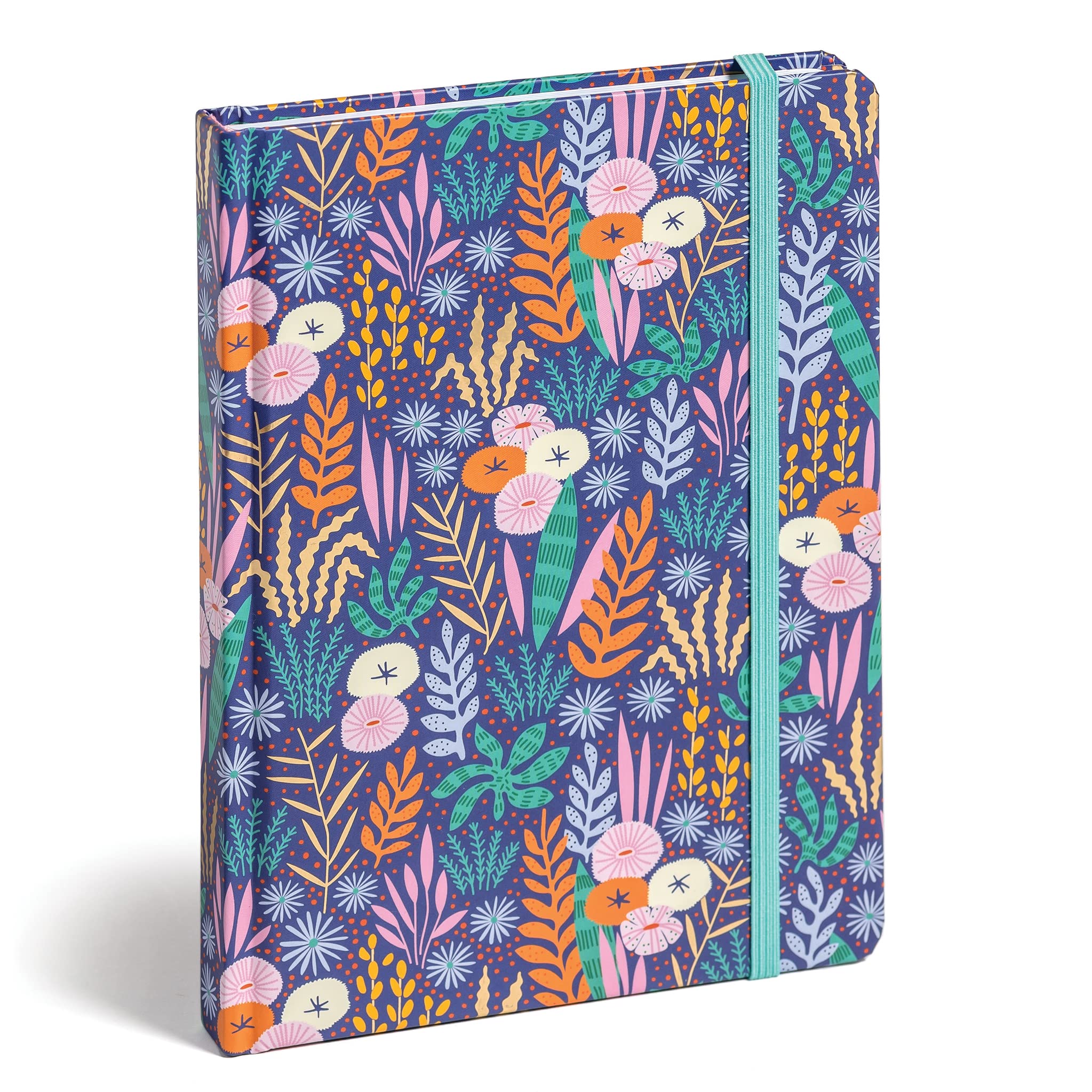 Amazon.com : High Note Non-Dated Journal Notebook by Elizabeth Olwen ...