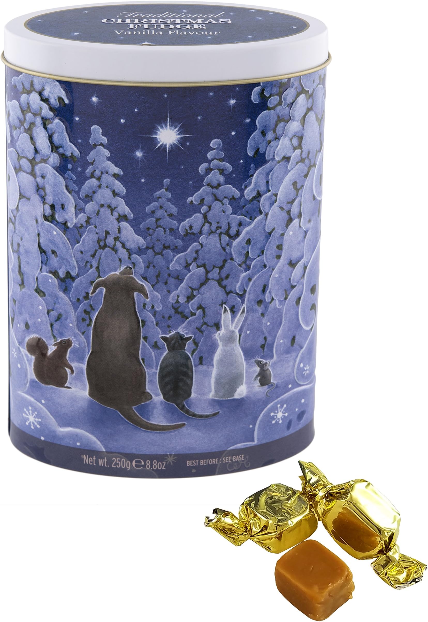 Amazon.com : Gardiners of Scotland Handmade Fudge 250g Tin, Christmas ...