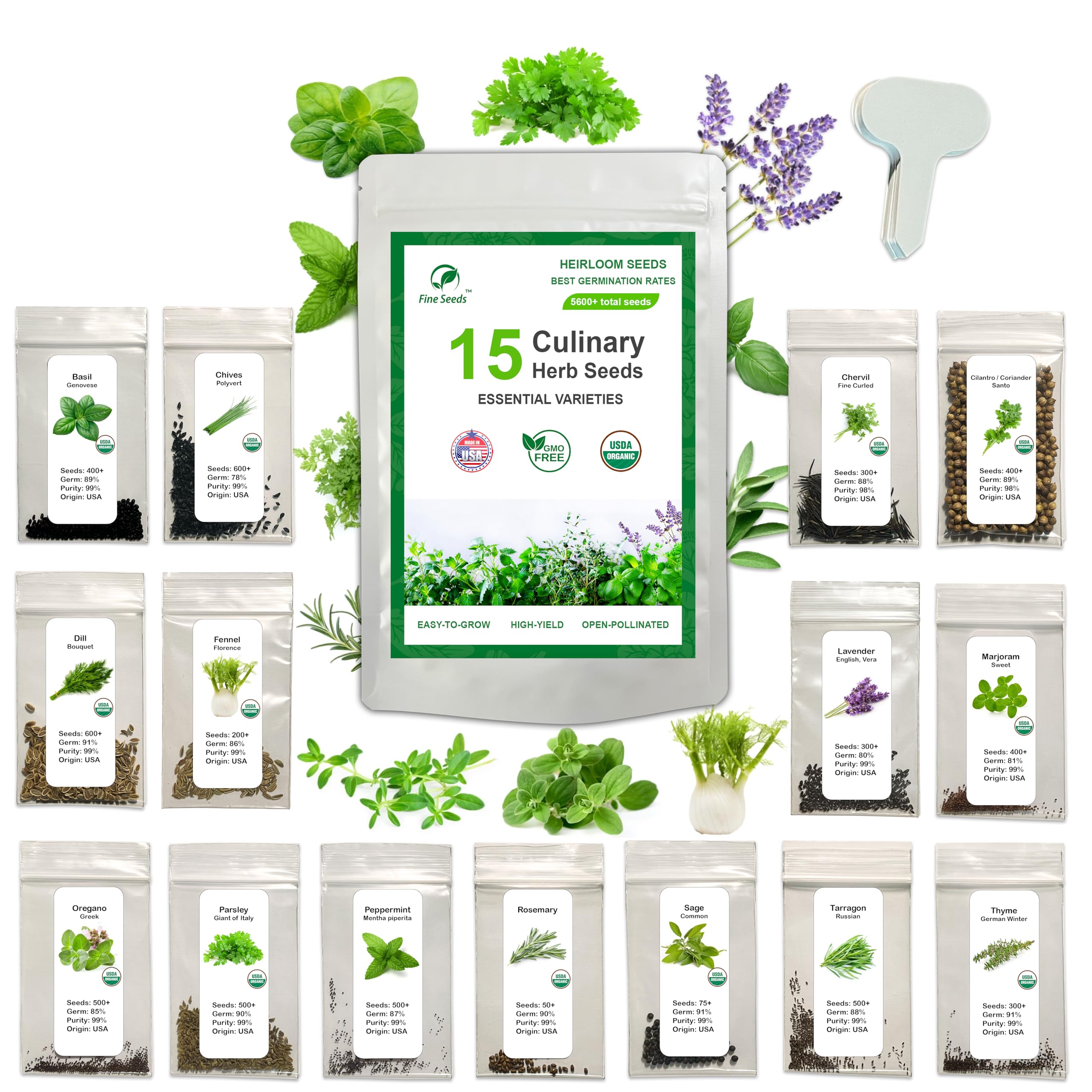 Amazon.com : Herb Seeds Variety Pack | 15 Essential Heirloom Varieties ...