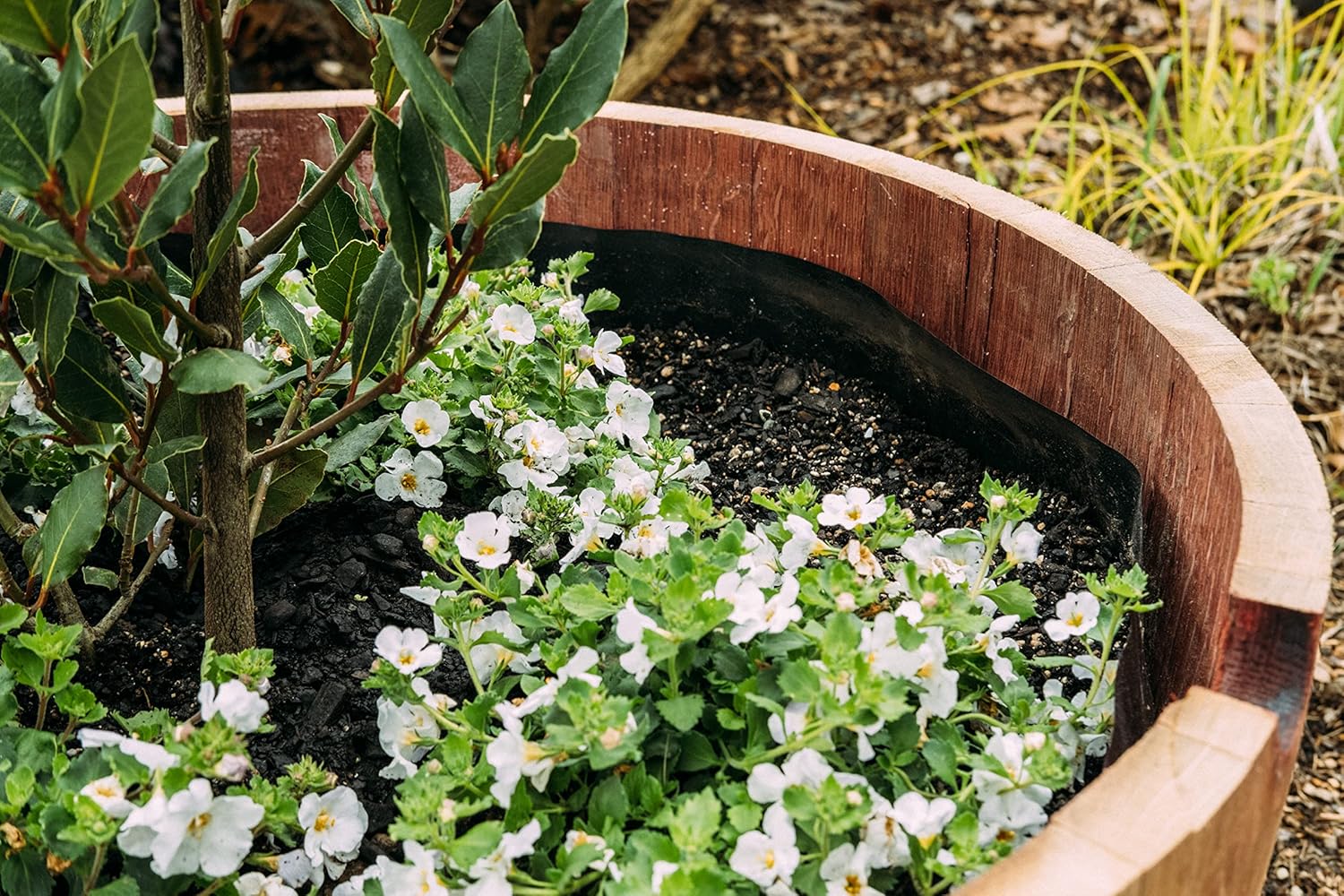 OAKENZ Oak Barrel Liner Kit