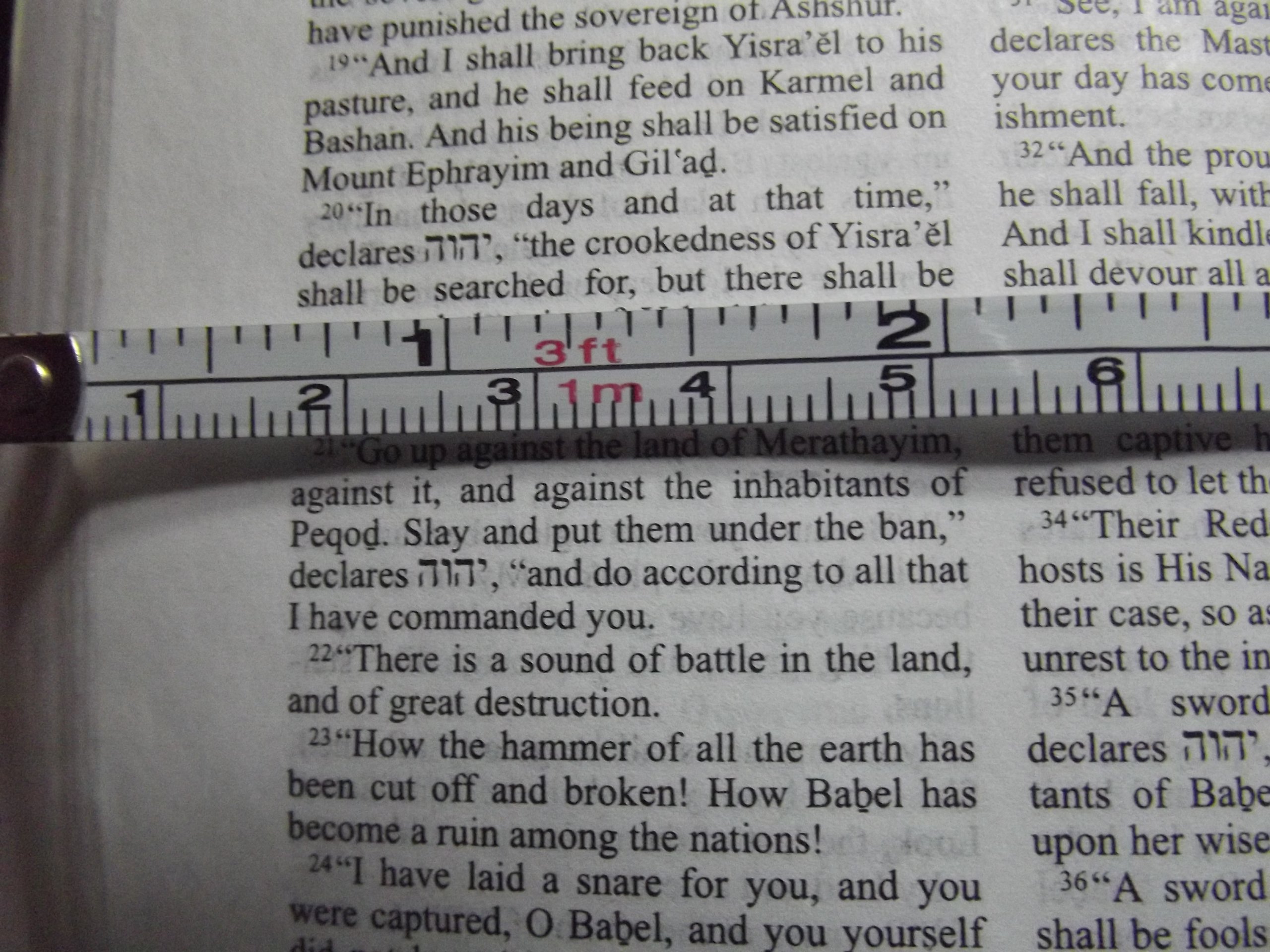 Amazon.com: The Scriptures (Pocket Edition): 9780958504584: Institute ...