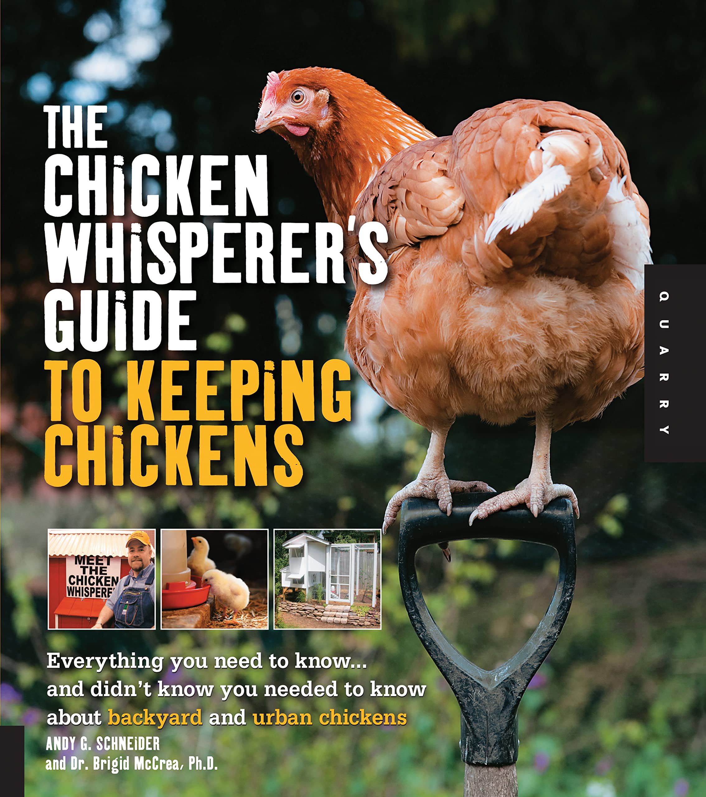 The Chicken Whisperer's Guide to Keeping Chickens: Everything You Need ...
