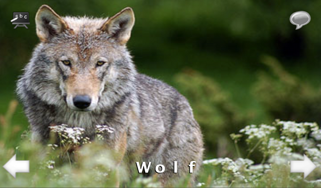 Animal Sounds and Spell for Kids HD - App on Amazon Appstore