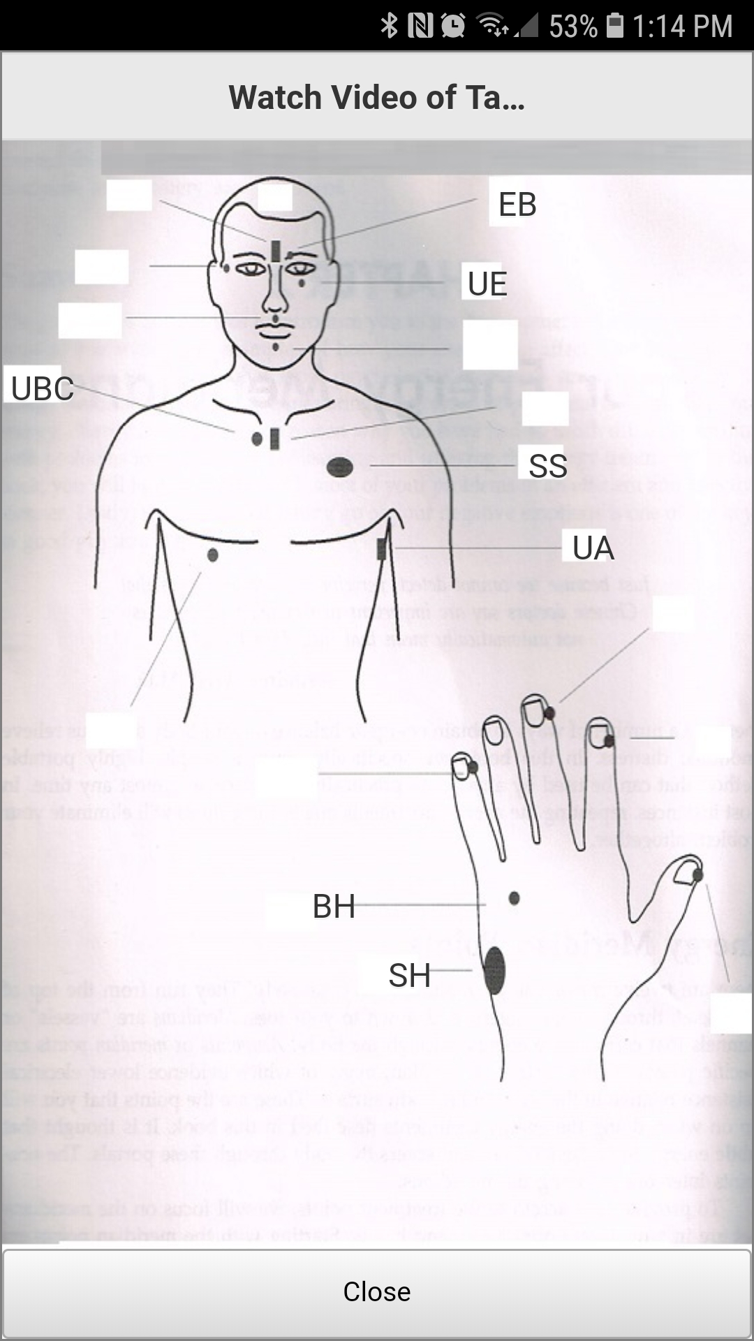 Energy Psychology Tapping Trainer - App on Amazon Appstore