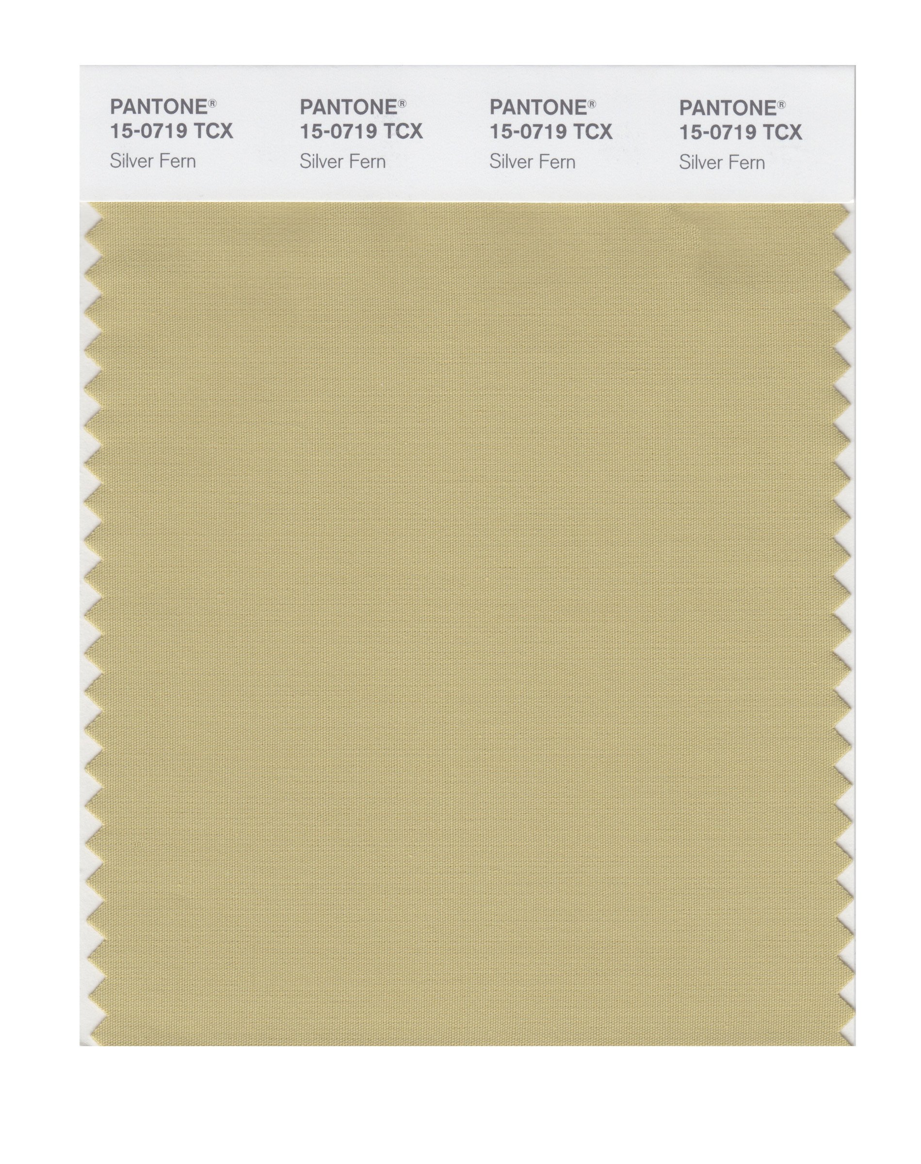 PANTONE Smart 15-0719X Color Swatch Card, Silver Fern : Amazon.co.uk ...
