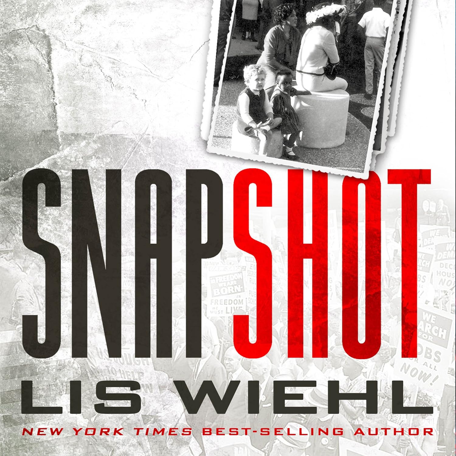 Amazon.com: Snapshot (Audible Audio Edition): Lis Wiehl, Devon O'day ...