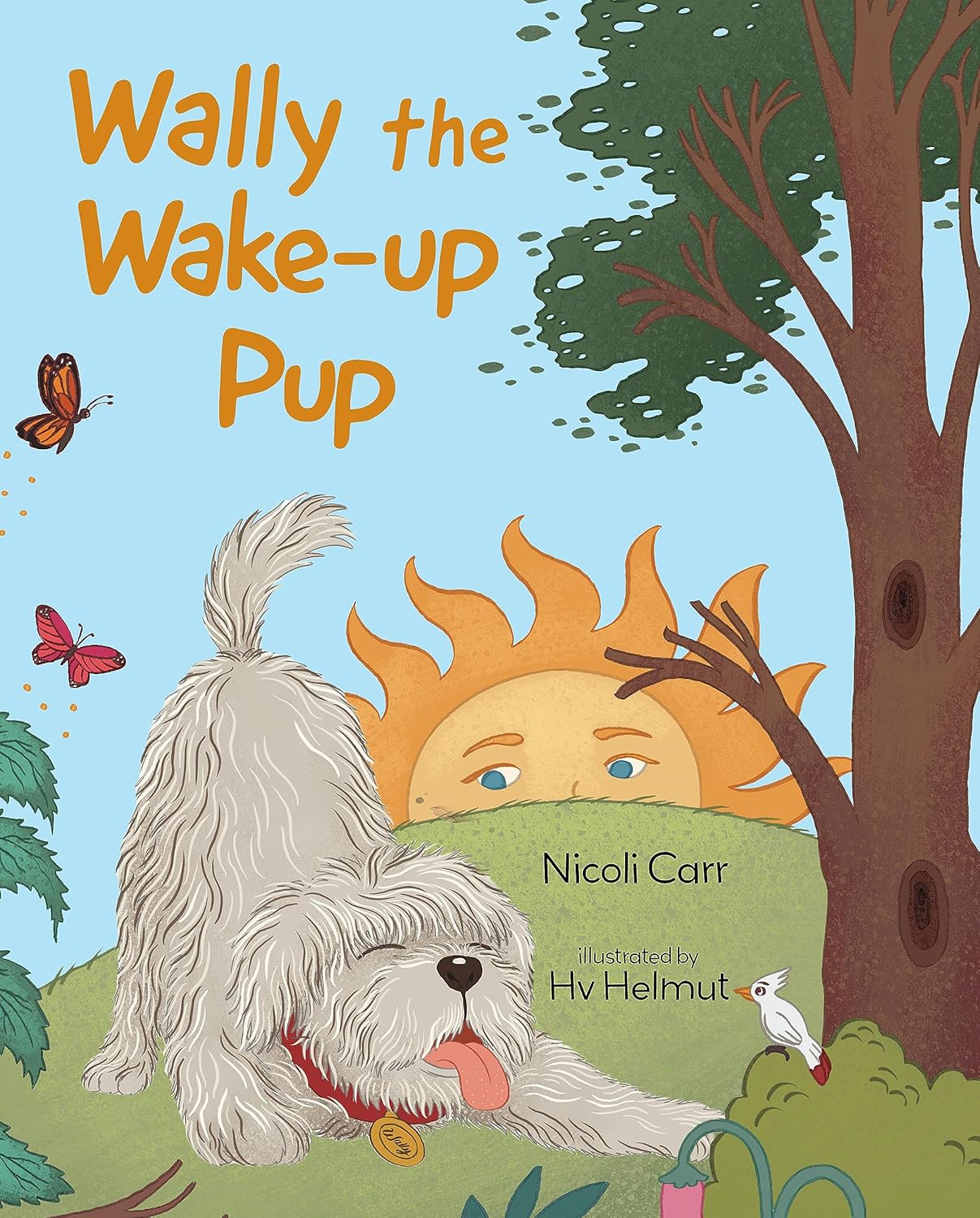 Wally the Wake-up Pup: Nicoli Carr: 9781637555828: Amazon.com: Books
