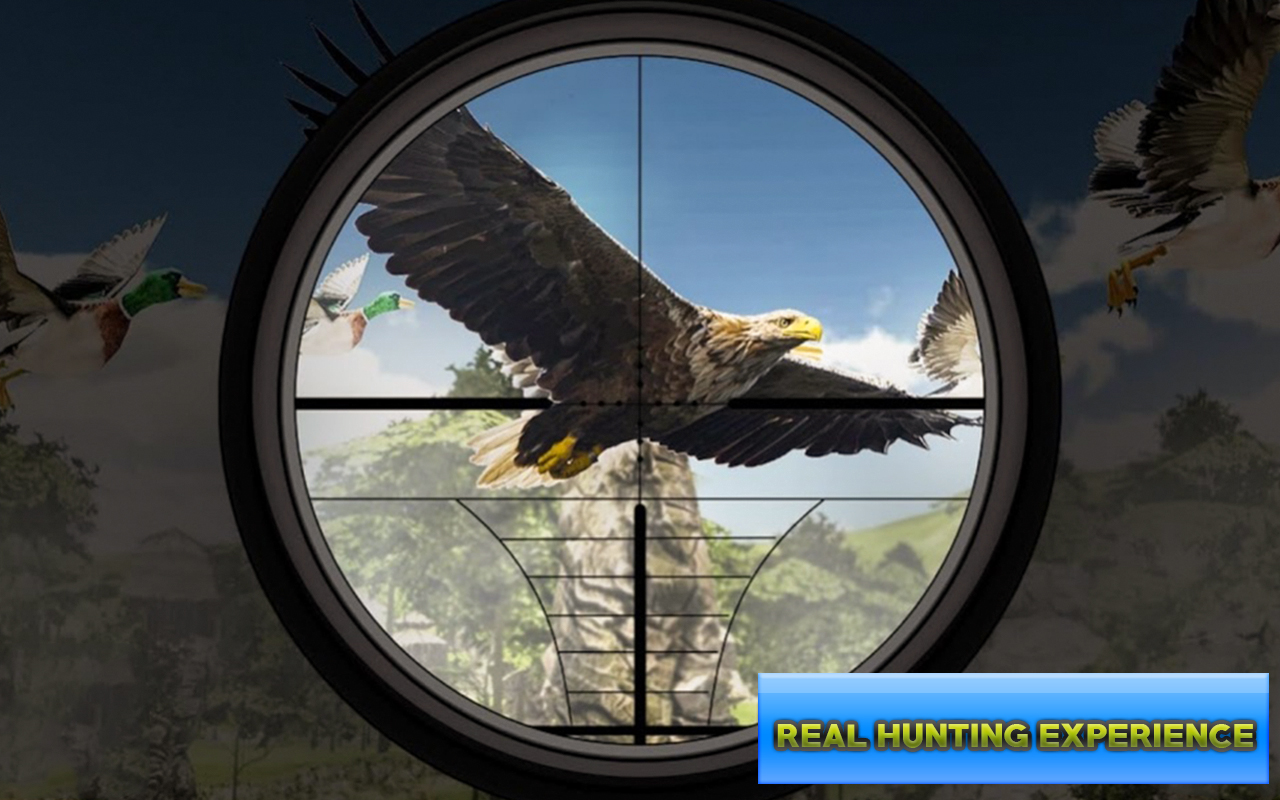 Birds Hunting:3D Arcade Game - App on Amazon Appstore