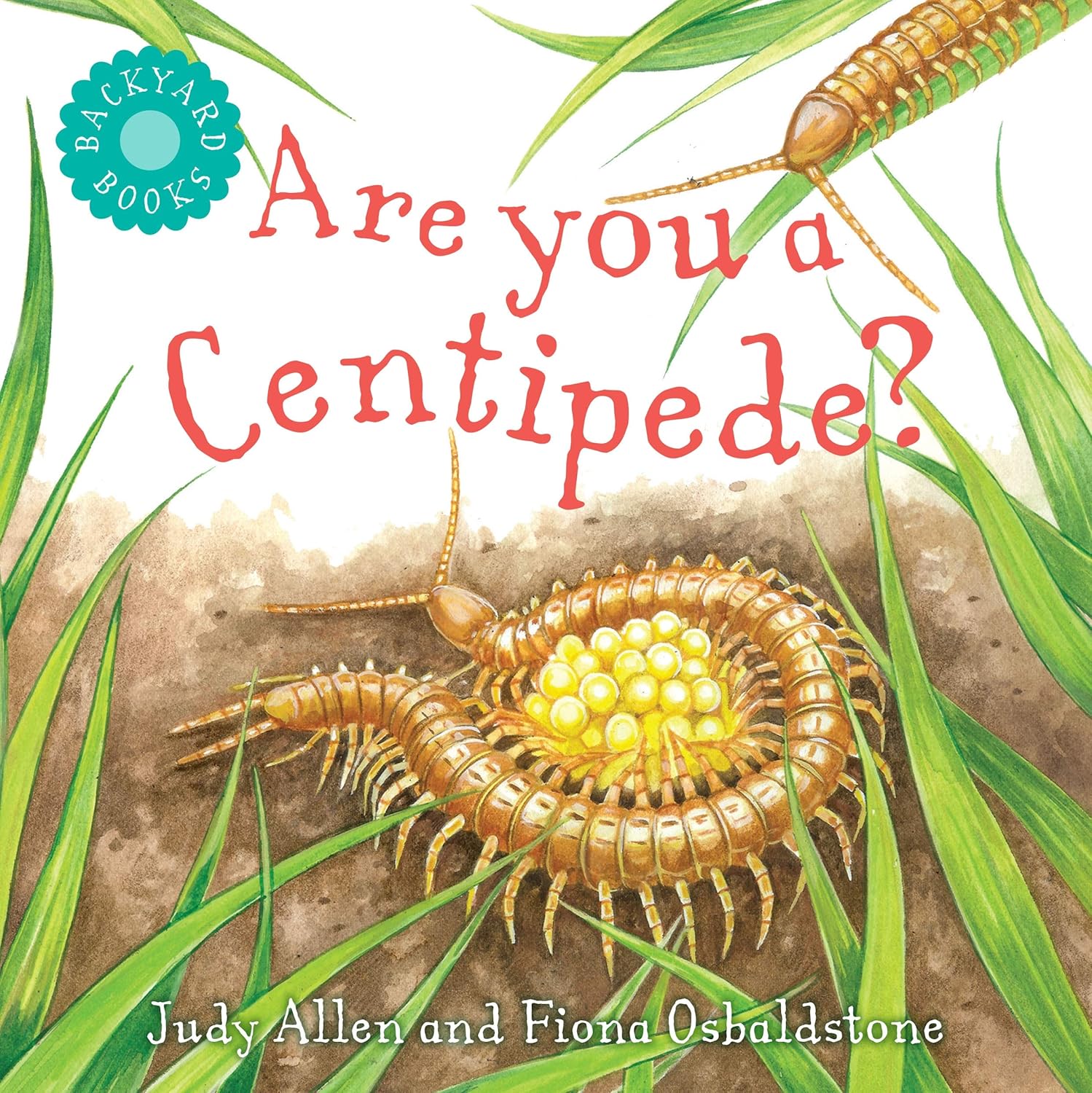Are You a Centipede? (Backyard Books): Allen, Judy: 9780753475058 ...