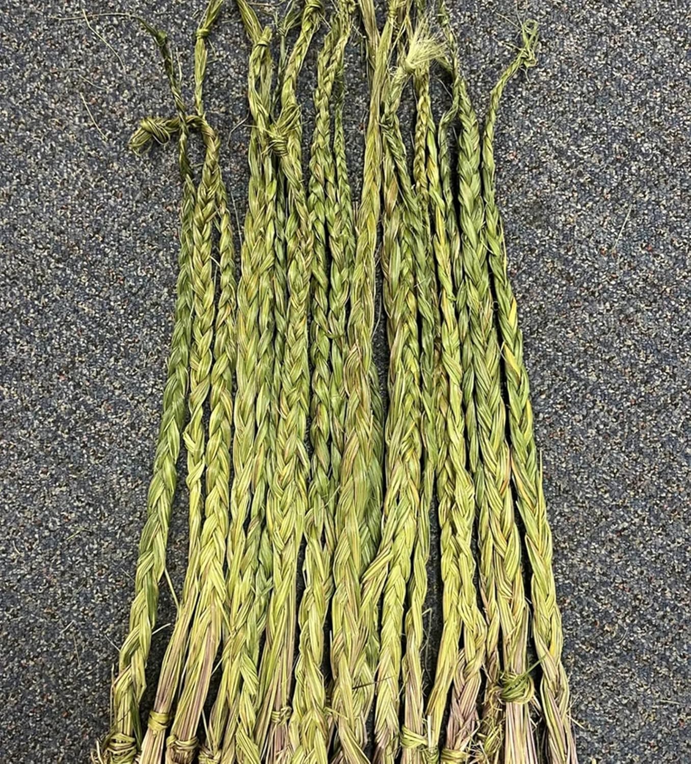 Amazon.com: Fresh Sweet Grass for Smudging Hand Braided 22-24 ...