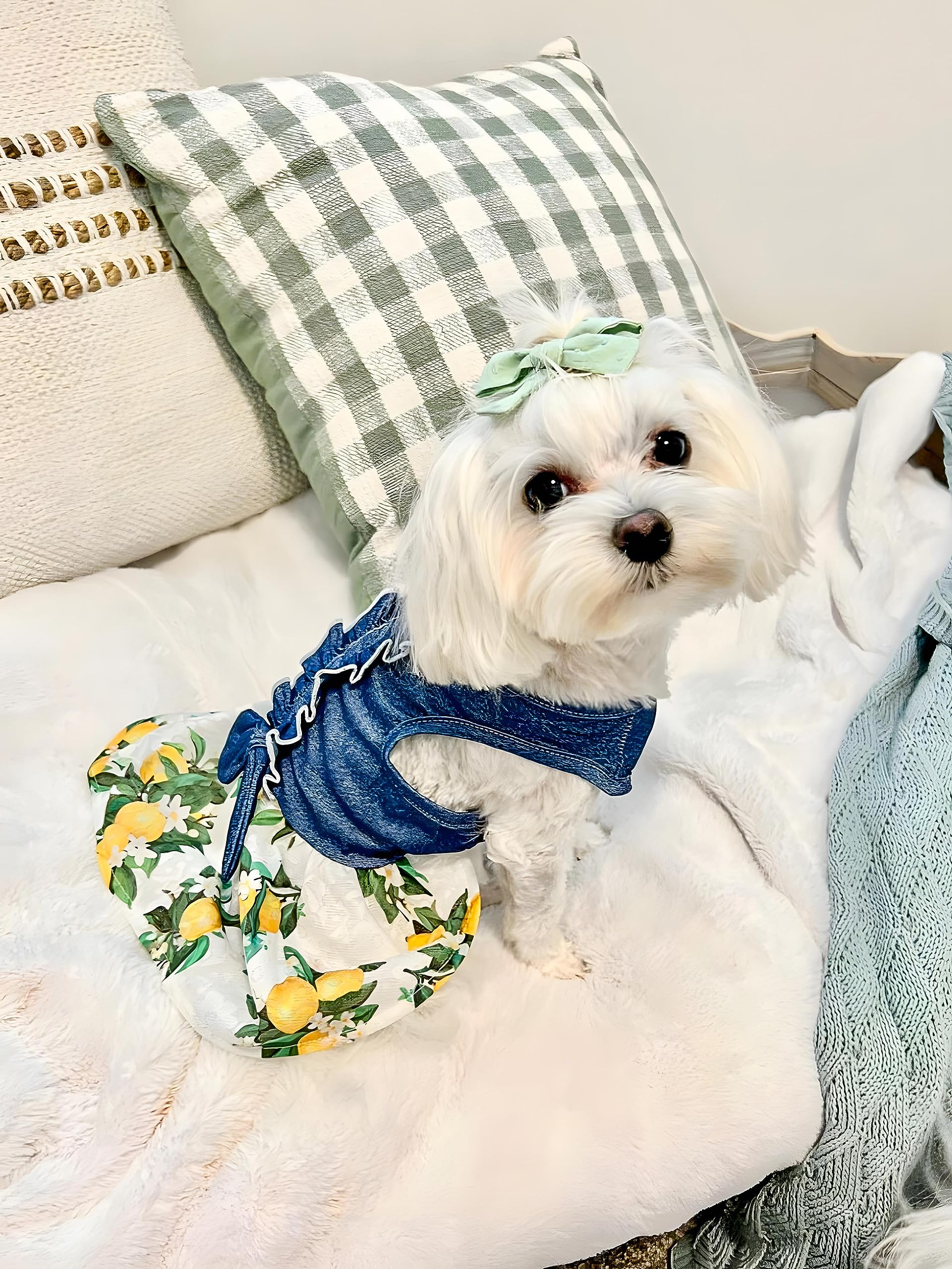 Snapklik.com : Lemon Denim Dog Dress, Dog Clothes For Small Dogs Girl ...