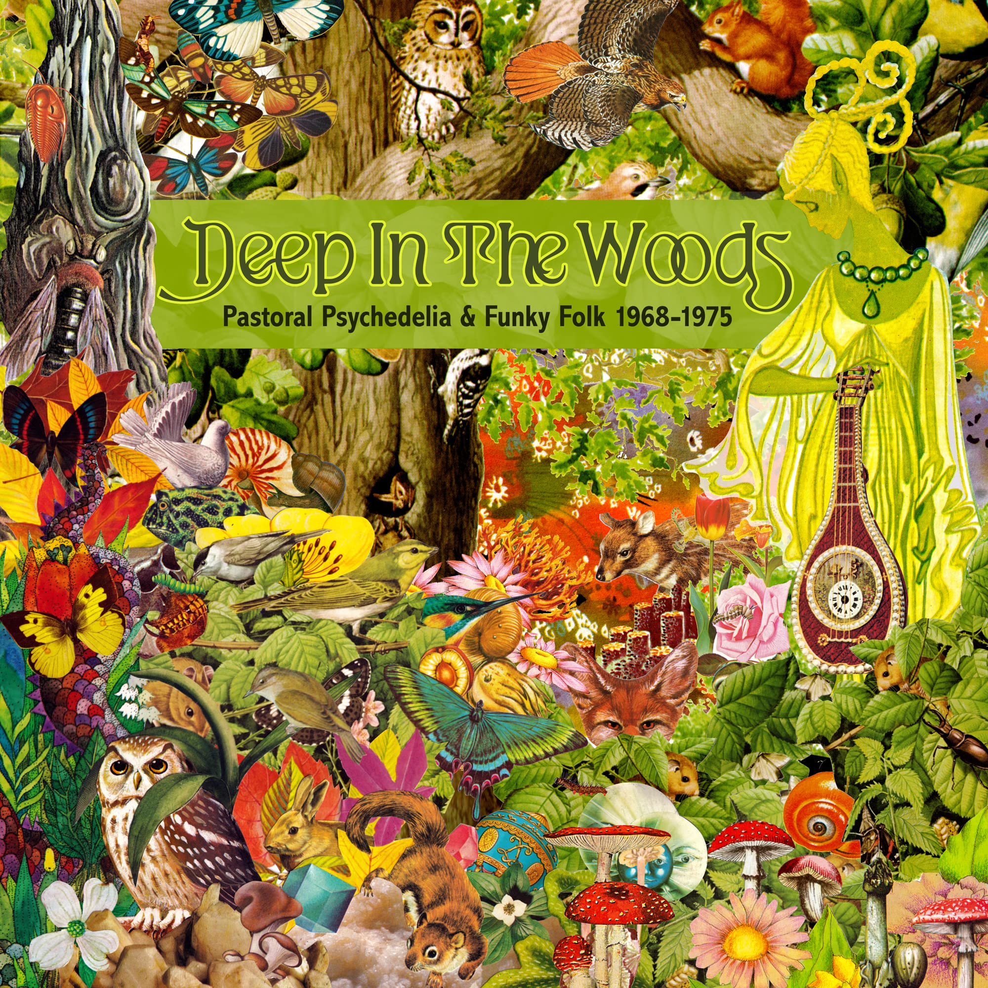 Amazon.co.jp: Deep in the Woods -..: ミュージック