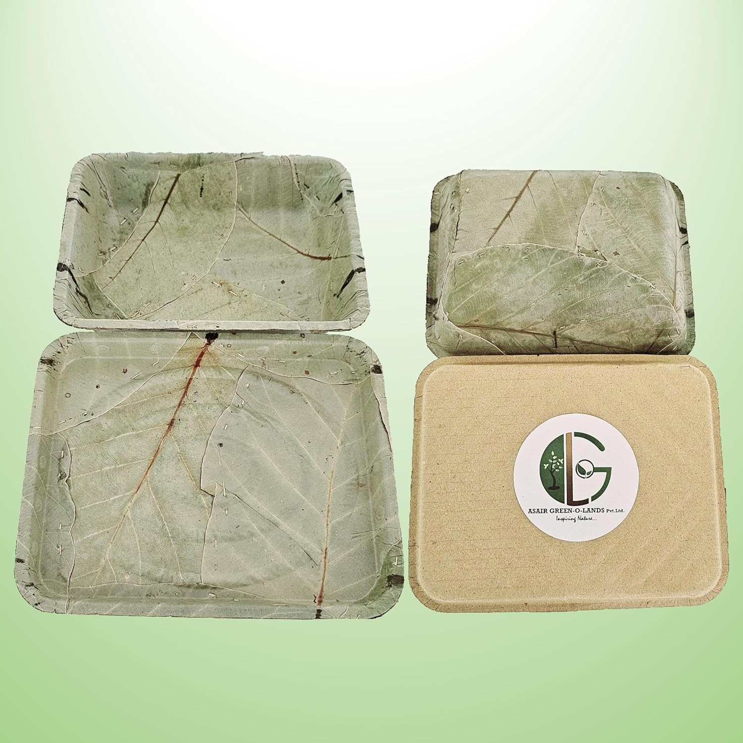 Buy Sal leaf boxes (750 mL, 10 Nos.) Online at Low Prices in India ...