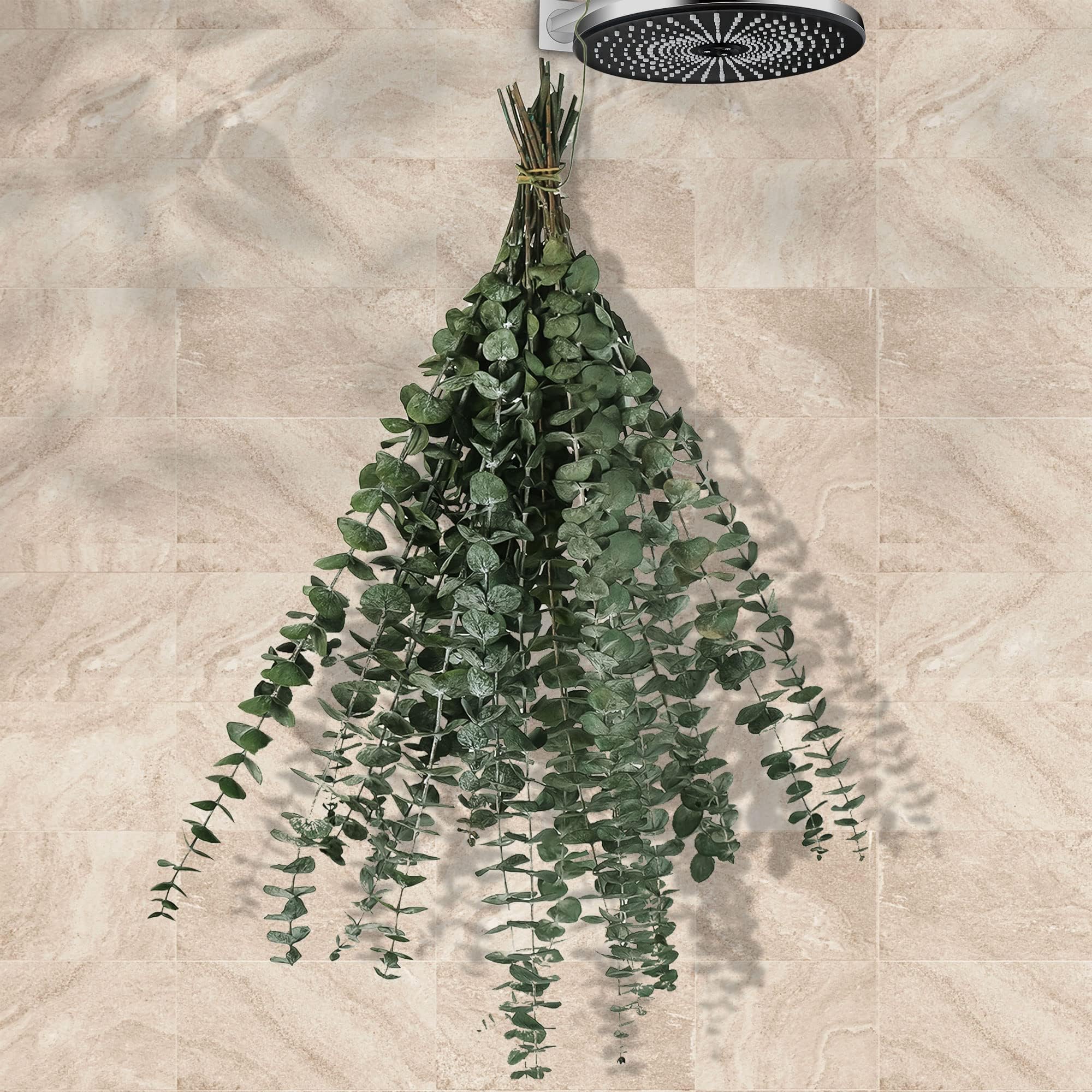 Amazon.com: TGAOMM Dried Eucalyptus Leaves Shower Decor - 24PCS 17 ...
