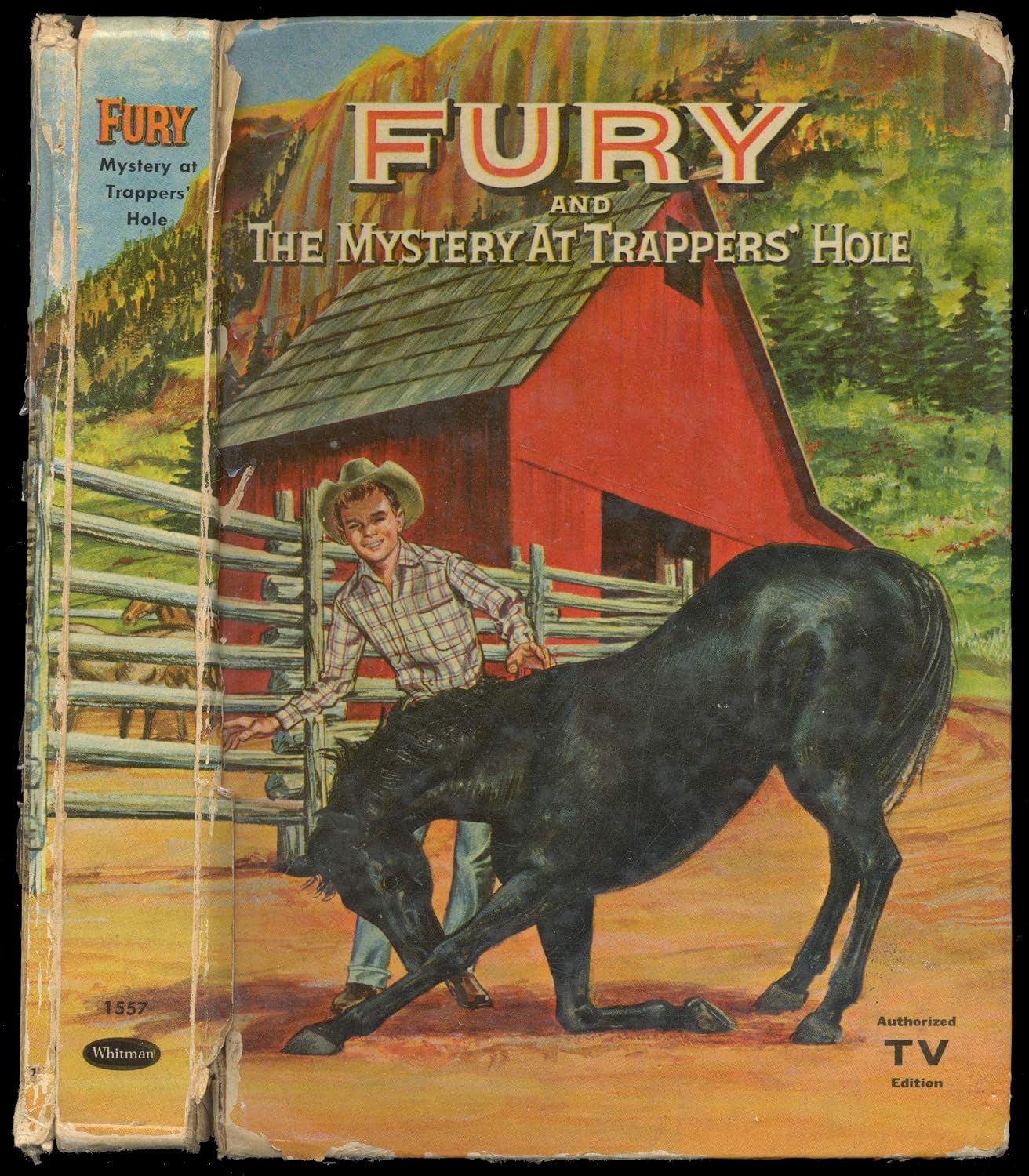 Fury: The Mystery at Trappers' Hole: Troy Nesbit, Paul Frame: Amazon ...