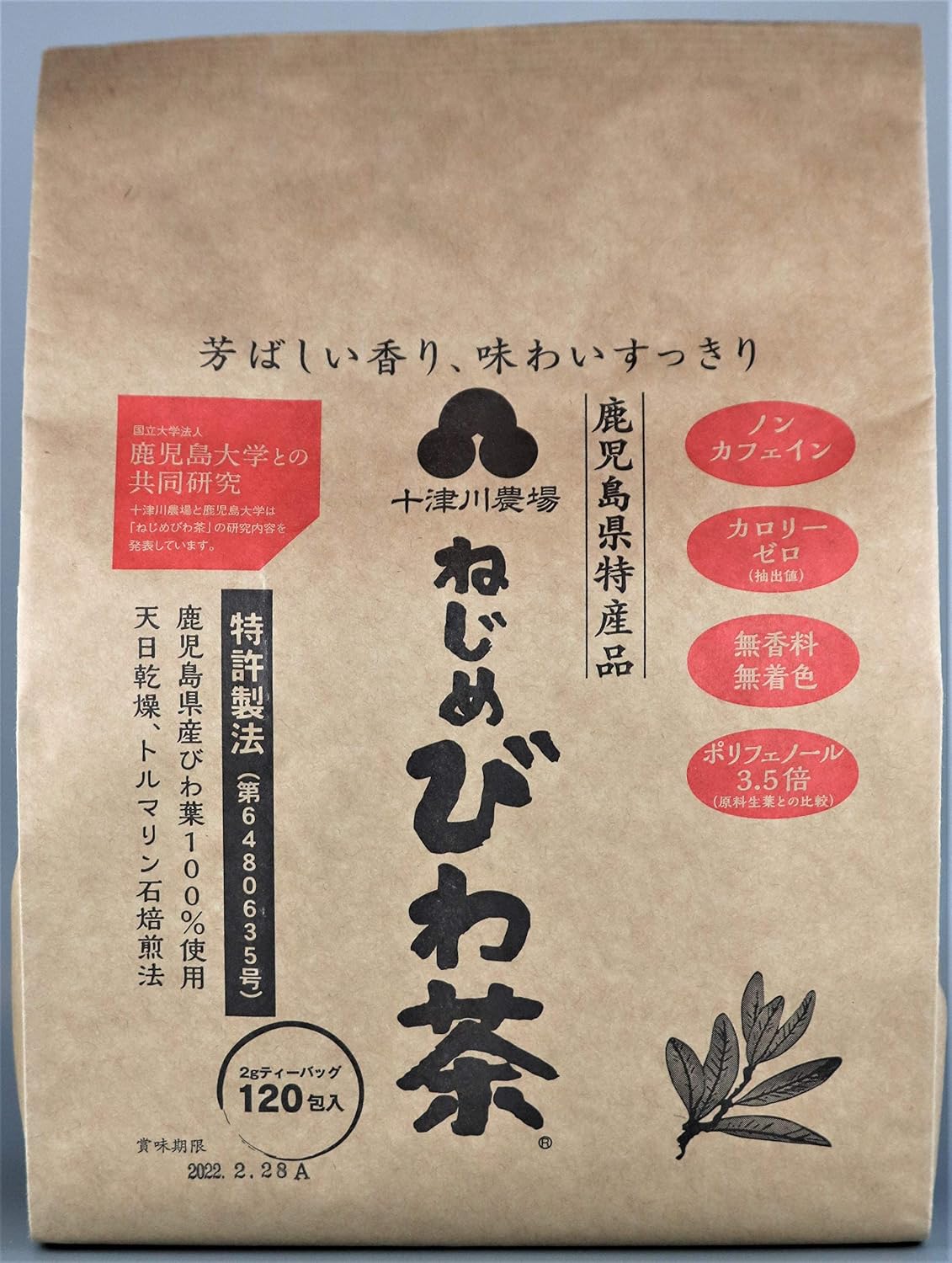 Amazon.com : Totsukawa farm Nejime Biwa tea 120 (2g tea back 120 ...