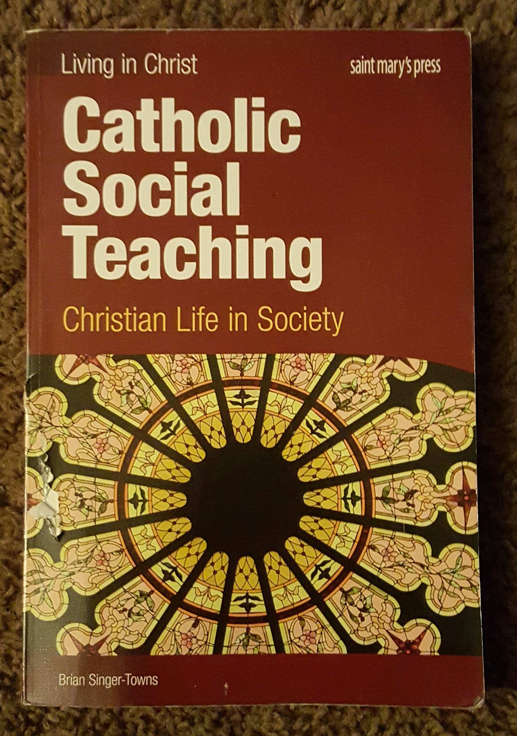 Catholic Social Teaching, student book: Christian Life in Society ...