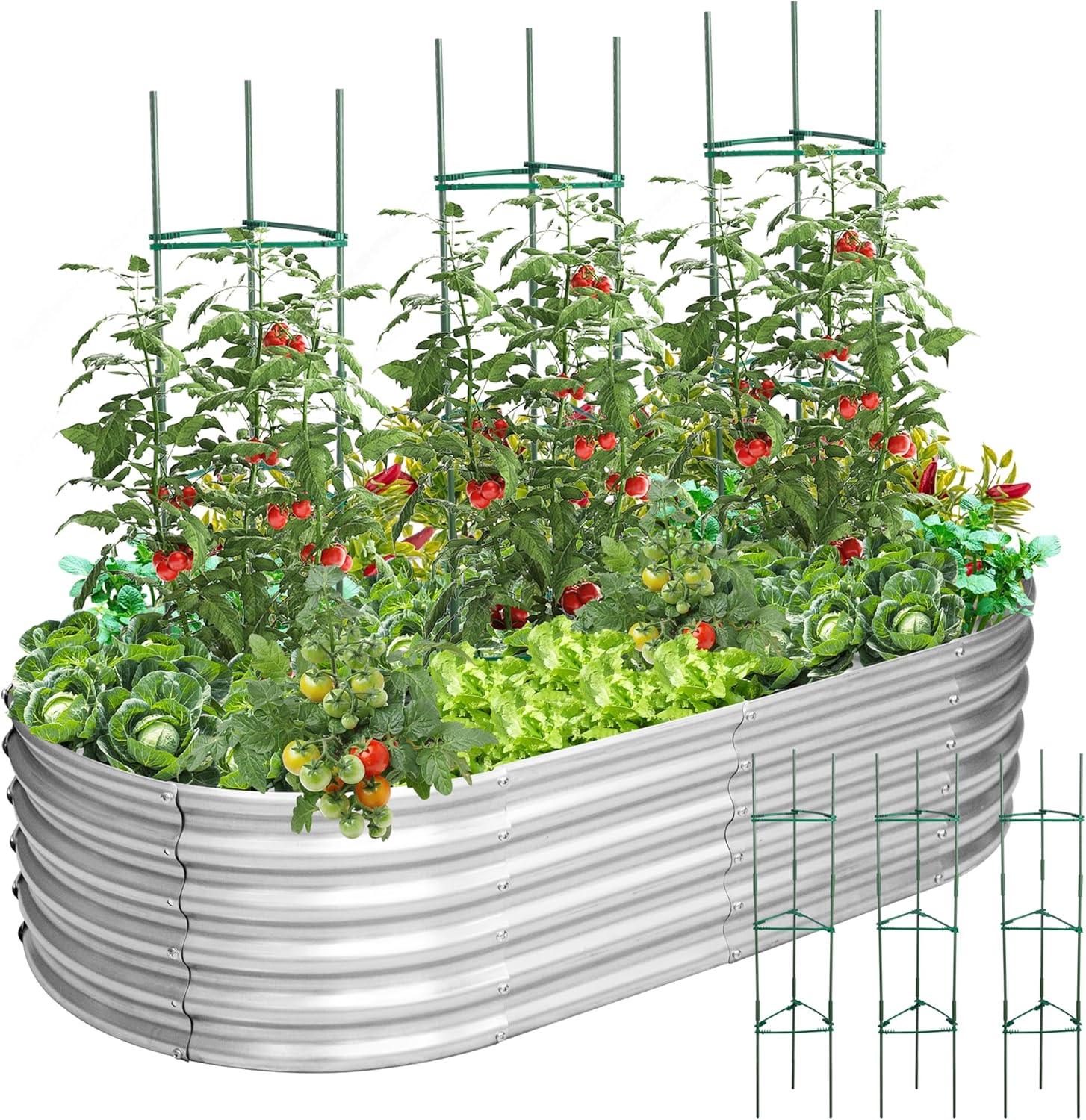 Amazon.com: Adnee 4 Packs Galvanized Raised Garden Bed and Tomato Cage ...