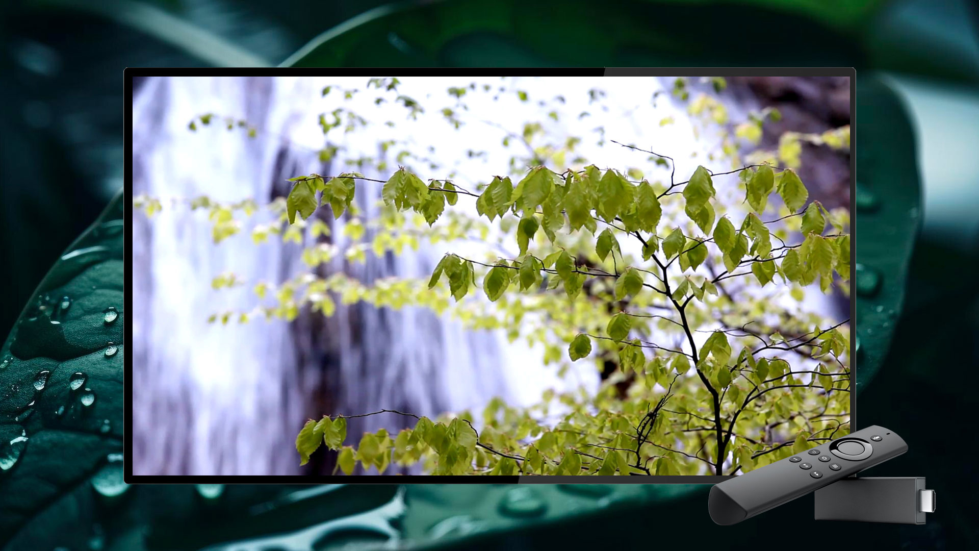 Tranquil Nature - Calming Videos & Soothing Sounds for TV & Tablets ...