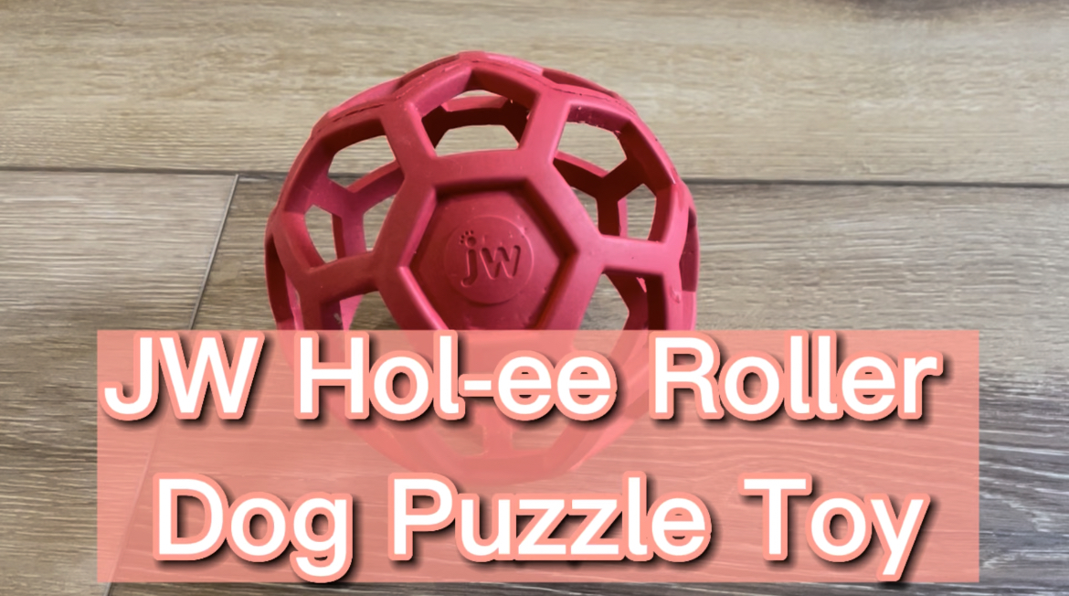 Watch Hol-ee Roller Dog Toy Review - a treat dispenser, and fun tug toy ...