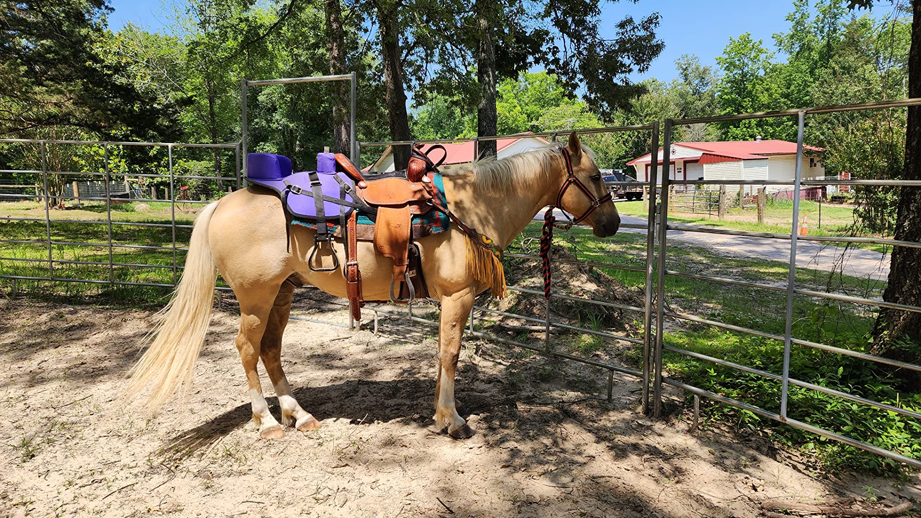 $15/mo - Finance HILASON Western Horse Saddle Buddy Seat for Kids ...