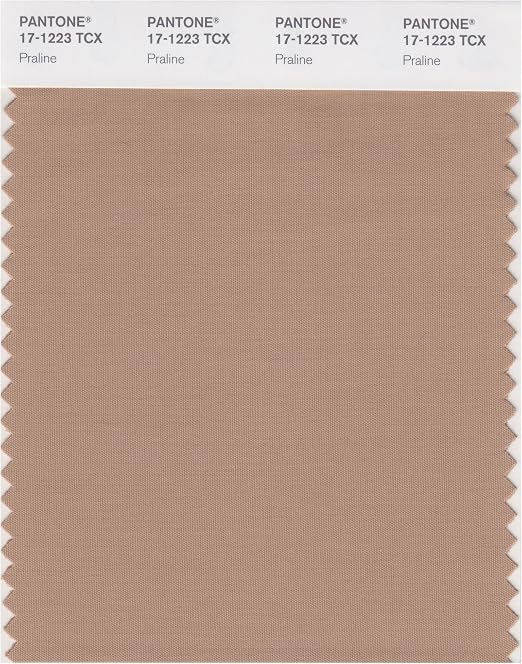 Pantone Smart 17-1223X Color Swatch Card, Praline - Wall Decor Stickers ...