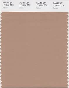 PANTONE Smart 17-1223X Color Swatch Card, Praline - Wall Decor Stickers ...