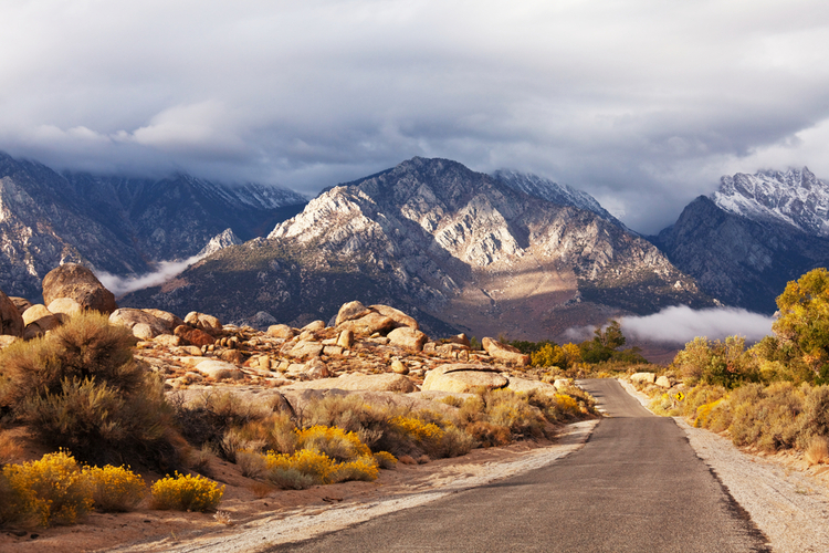 Amazon.com: Will Murray: books, biography, latest update