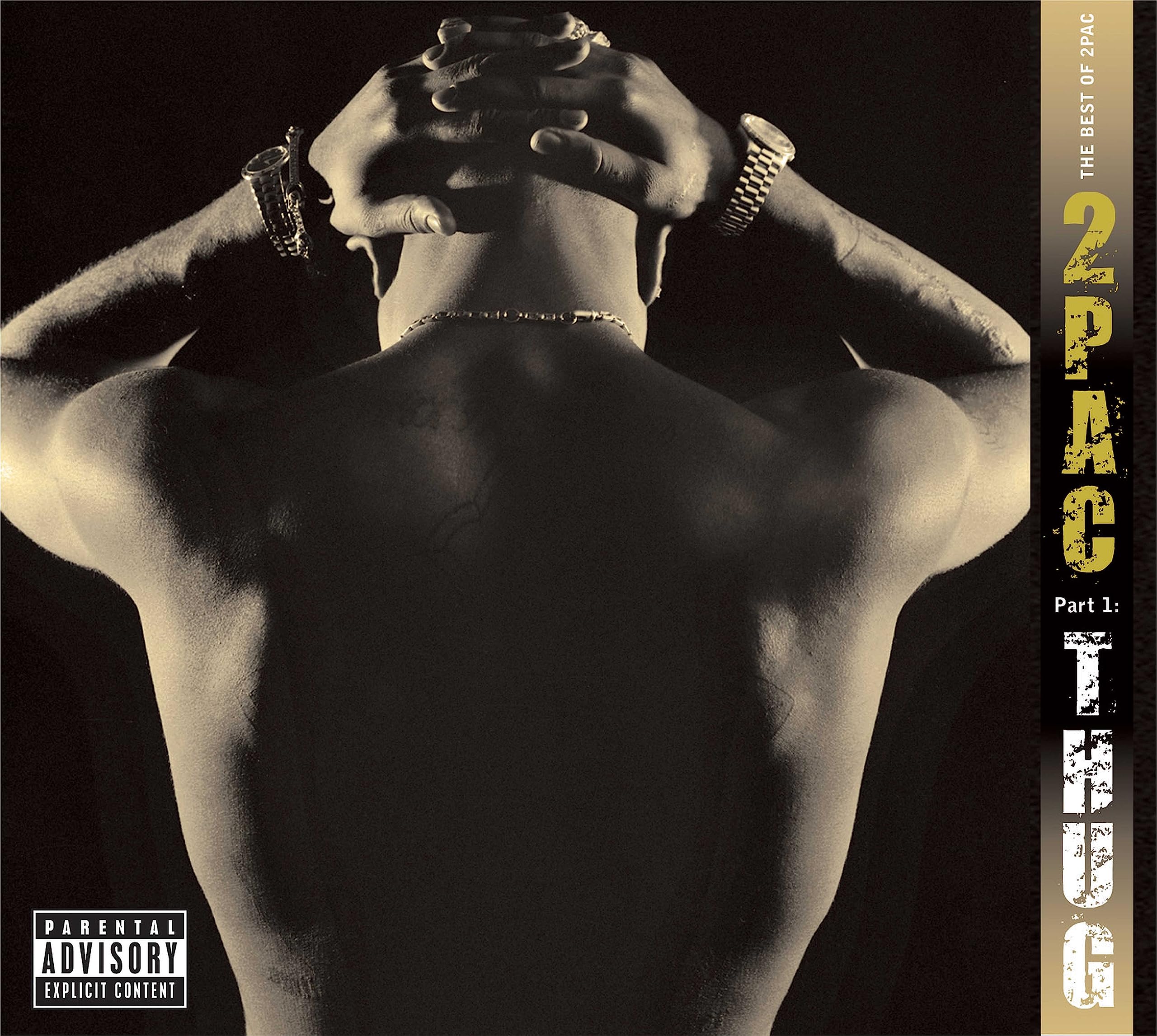 Amazon.com: The Best Of 2Pac - Part 1: Thug[2 LP]: CDs & Vinyl
