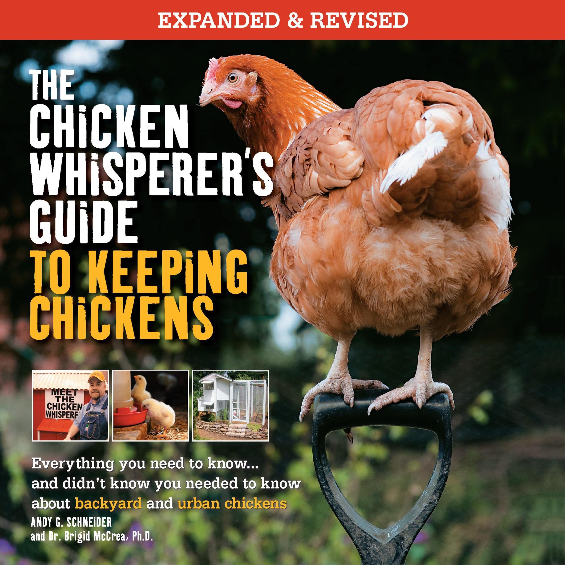 Buy The Chicken Whisperer's Guide to Keeping Chickens, Revised: Everything You Need to Know ...
