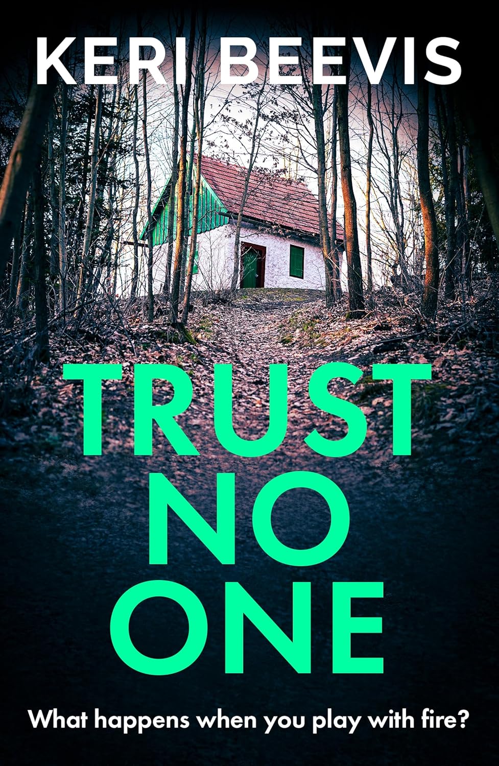 Trust No One: A suspenseful, completely addictive psychological thriller from TOP 10 BESTSELLER ...