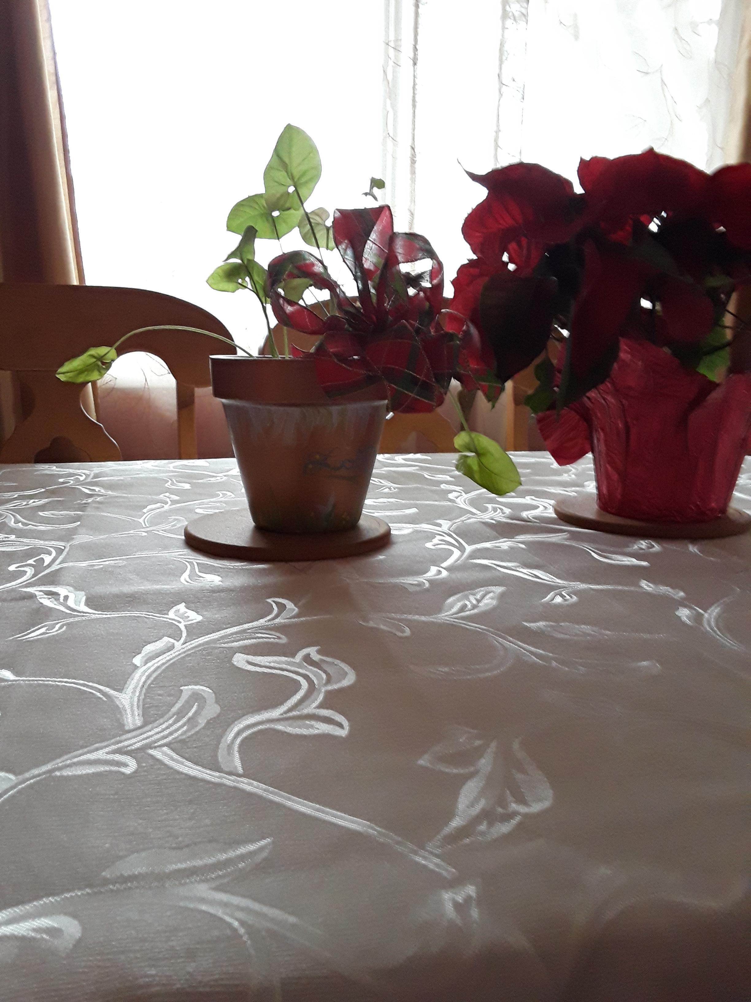 Amazon.com: Luxury Home Collection Polyester Washable Jacquard ...