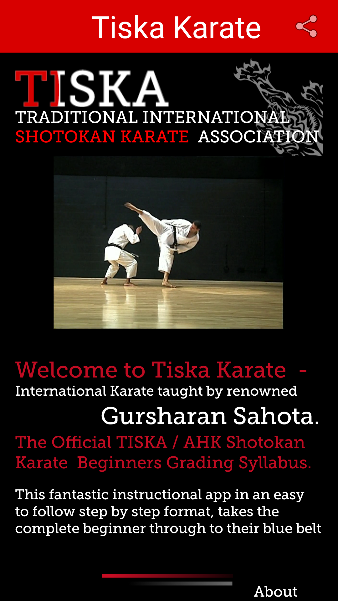 Aplicación Tiska Karate en Amazon Appstore
