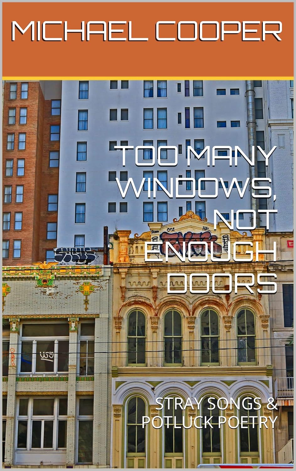 TOO MANY WINDOWS, NOT ENOUGH DOORS: STRAY SONGS & POTLUCK POETRY ...