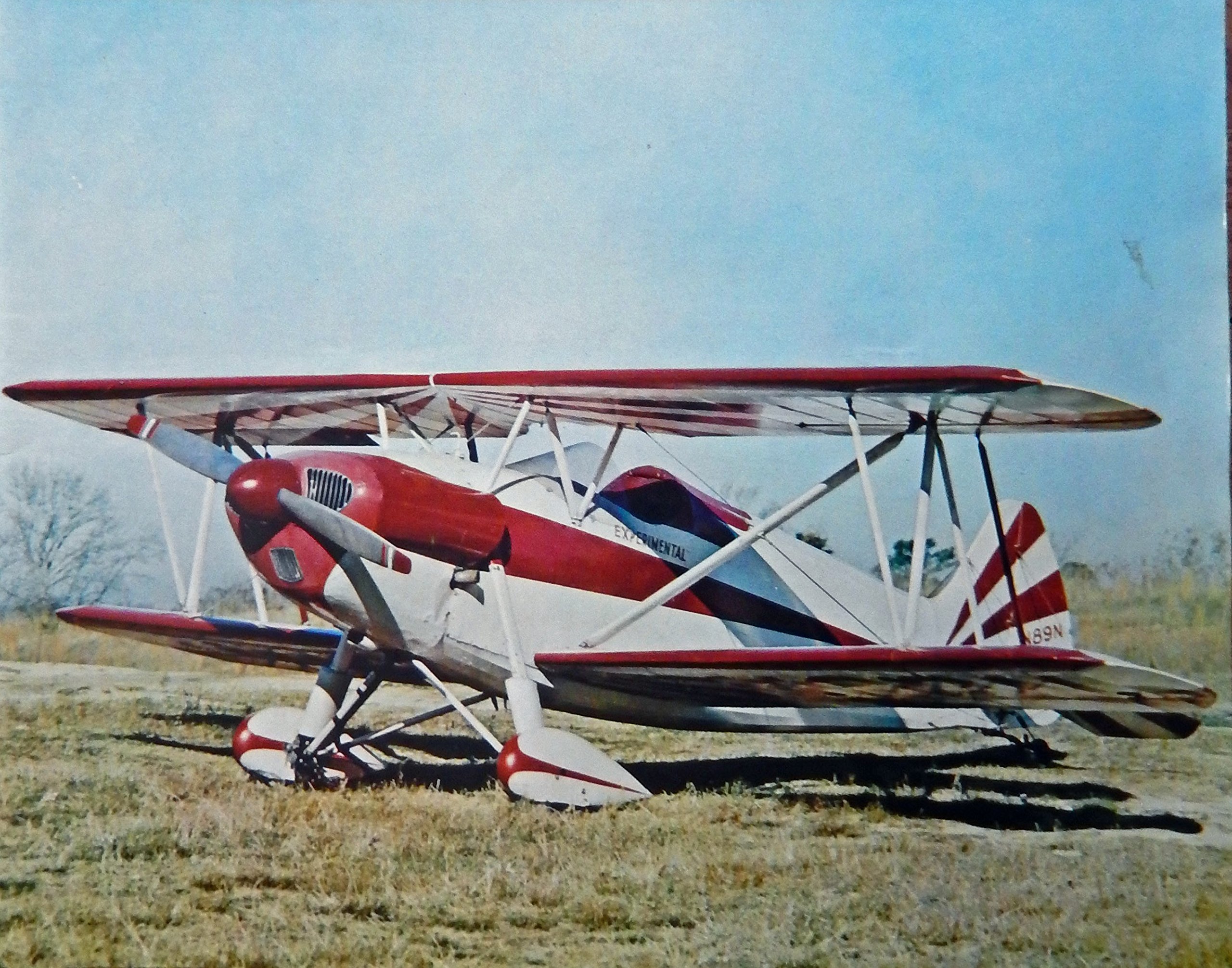 Rose Parrakeet Biplane