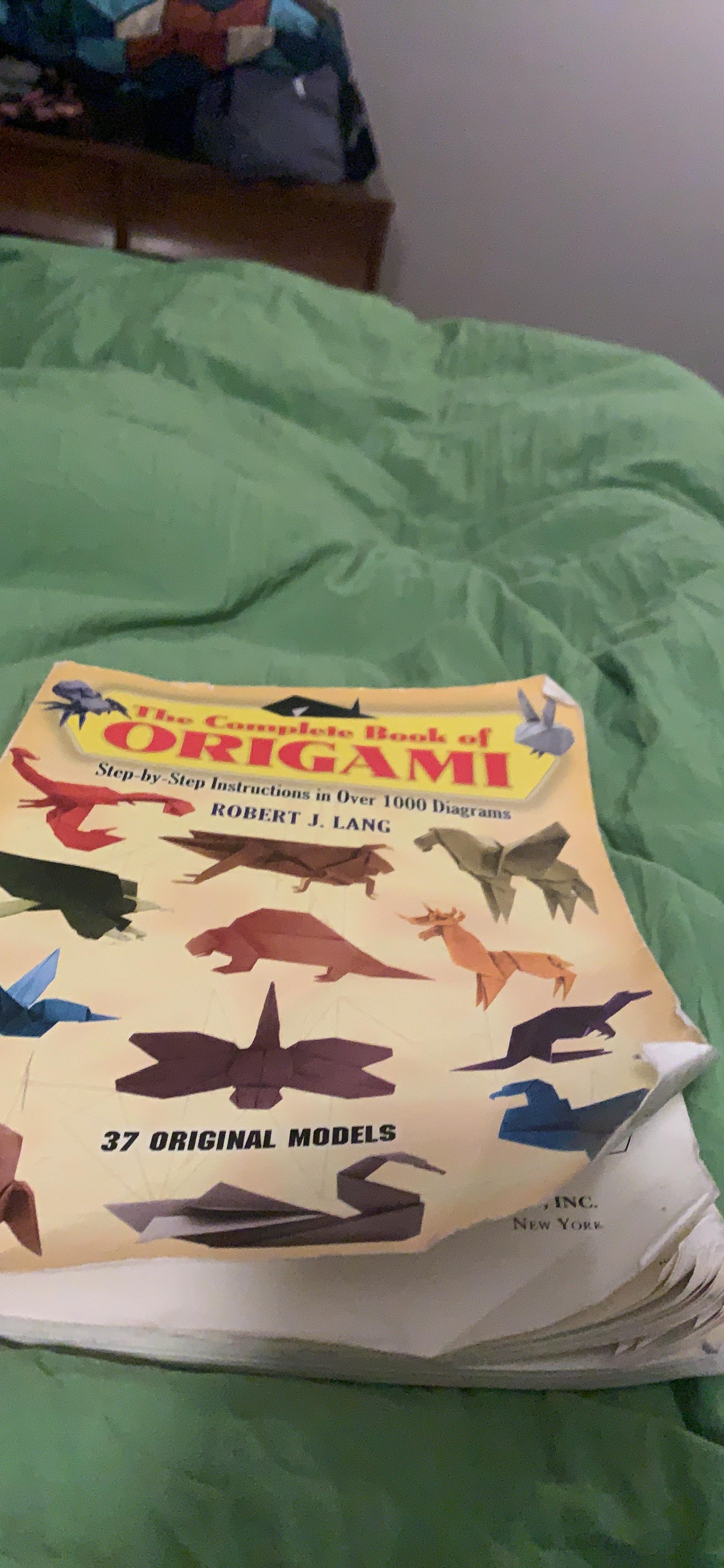 The Complete Book of Origami: Step-by-Step Instructions in Over 1000 ...