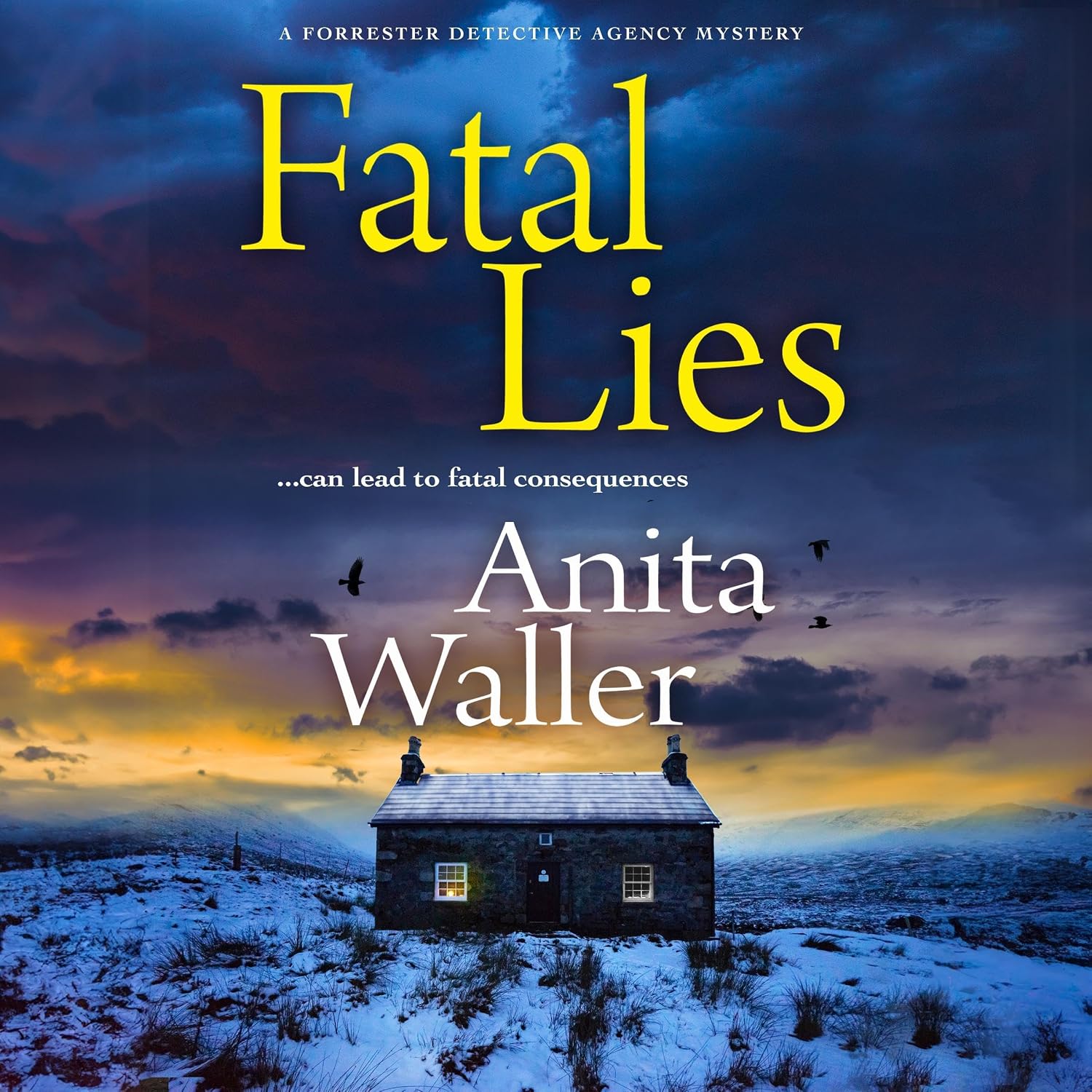 Amazon.com: Fatal Lies: The Forrester Detective Agency, Book 2 (Audible ...