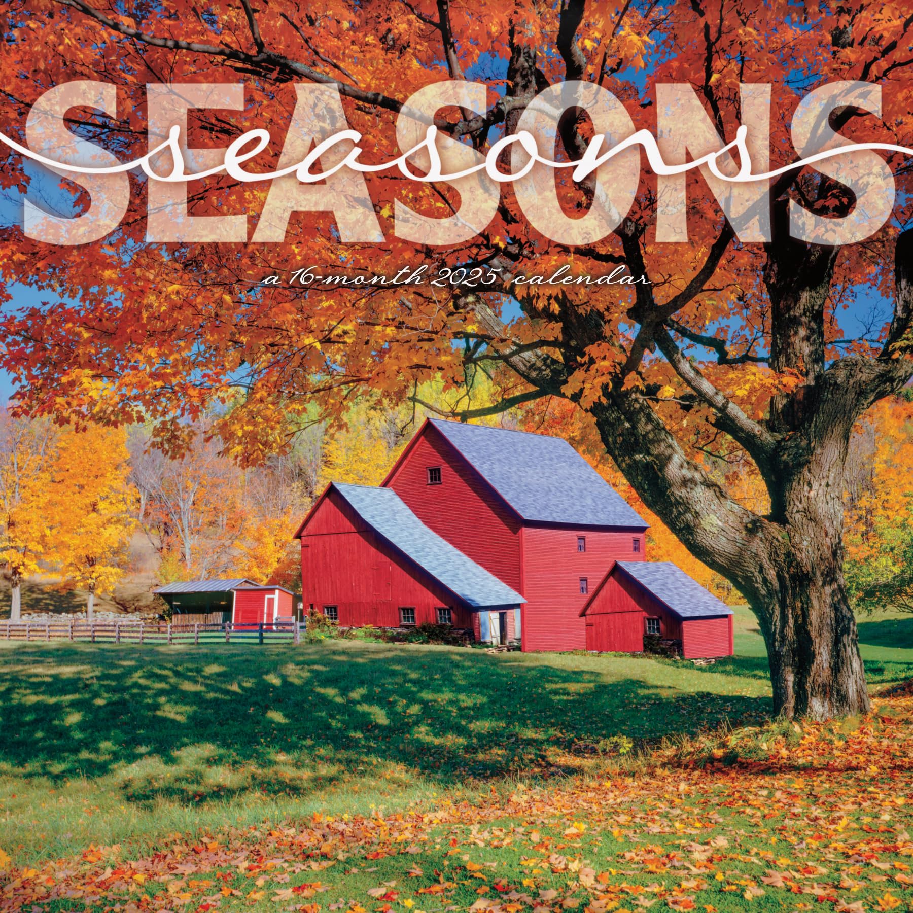 2025 Seasons Wall Calendar : Amazon.ca: Office Products