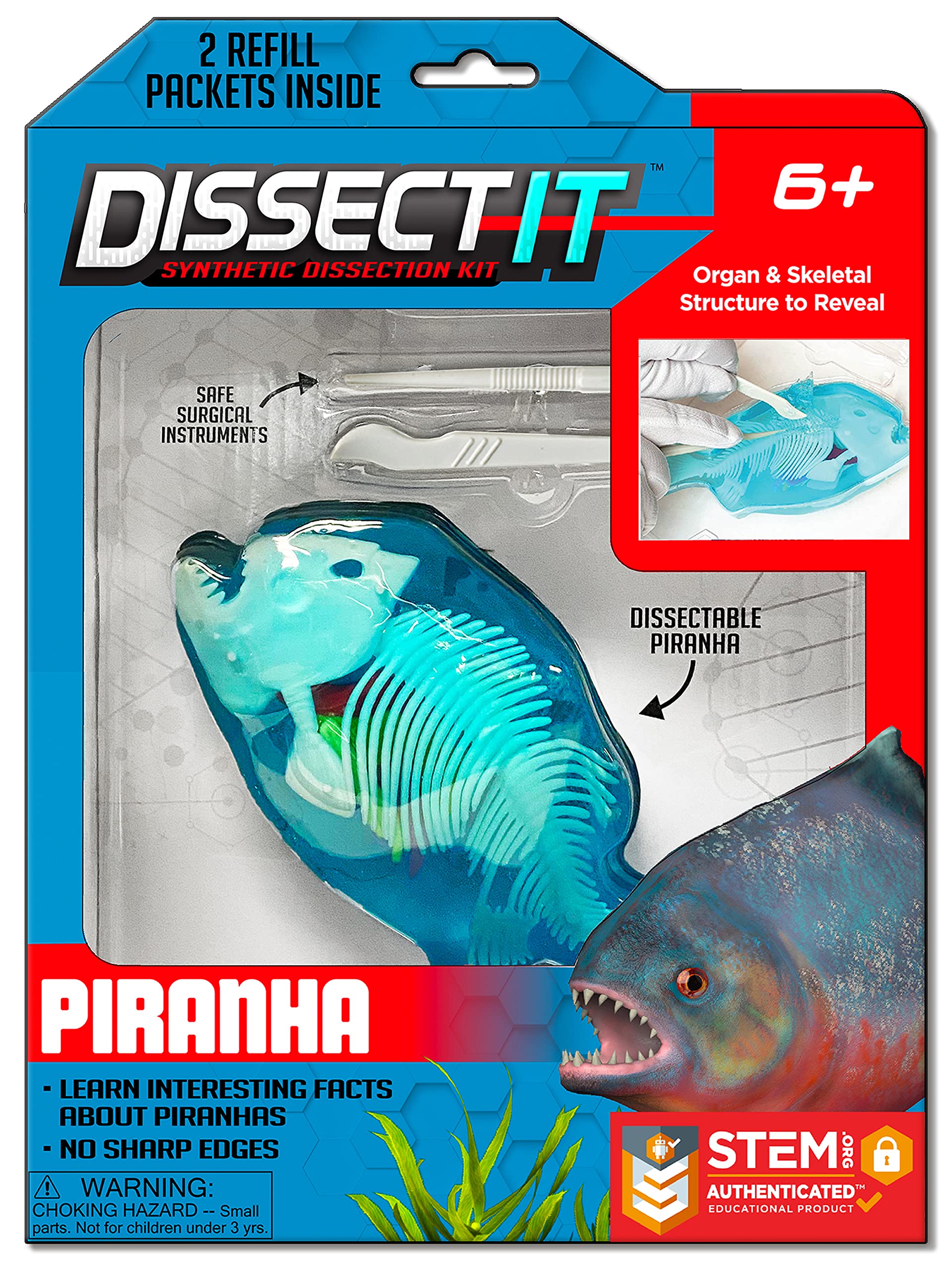 Buy Dissect-It Simulated Synthetic Lab Dissection STEM Toy, Kids' Home ...