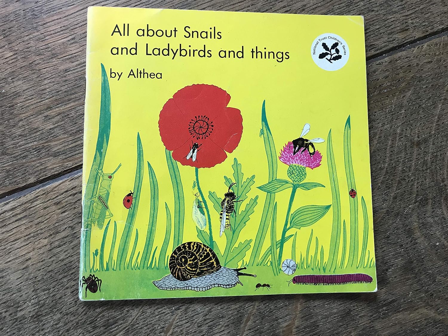 All About Snails and Ladybirds and Things (National Trust S.for ...