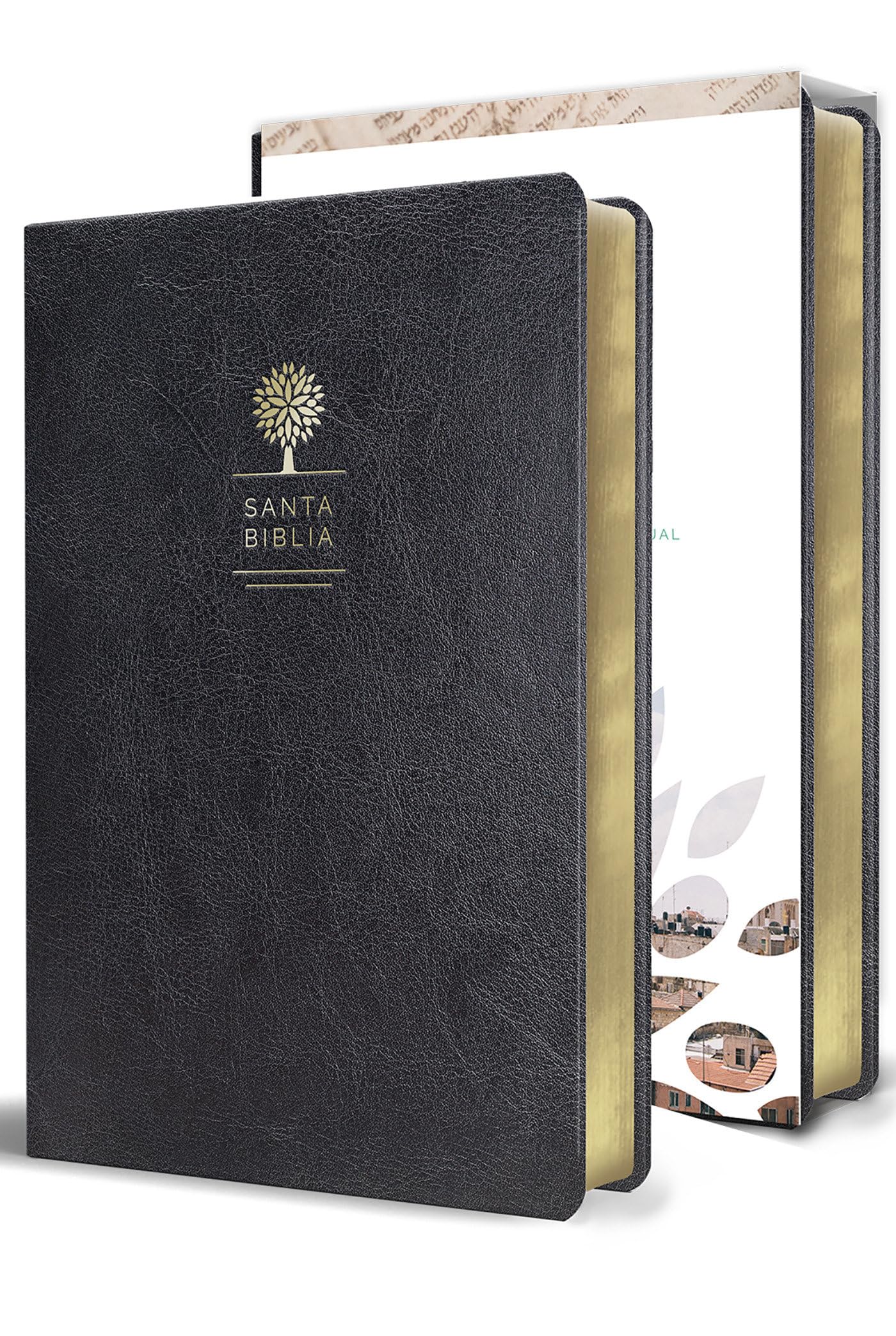 Snapklik.com : Biblia Reina Valera 1960 Letra Grande. Simil Piel Color ...