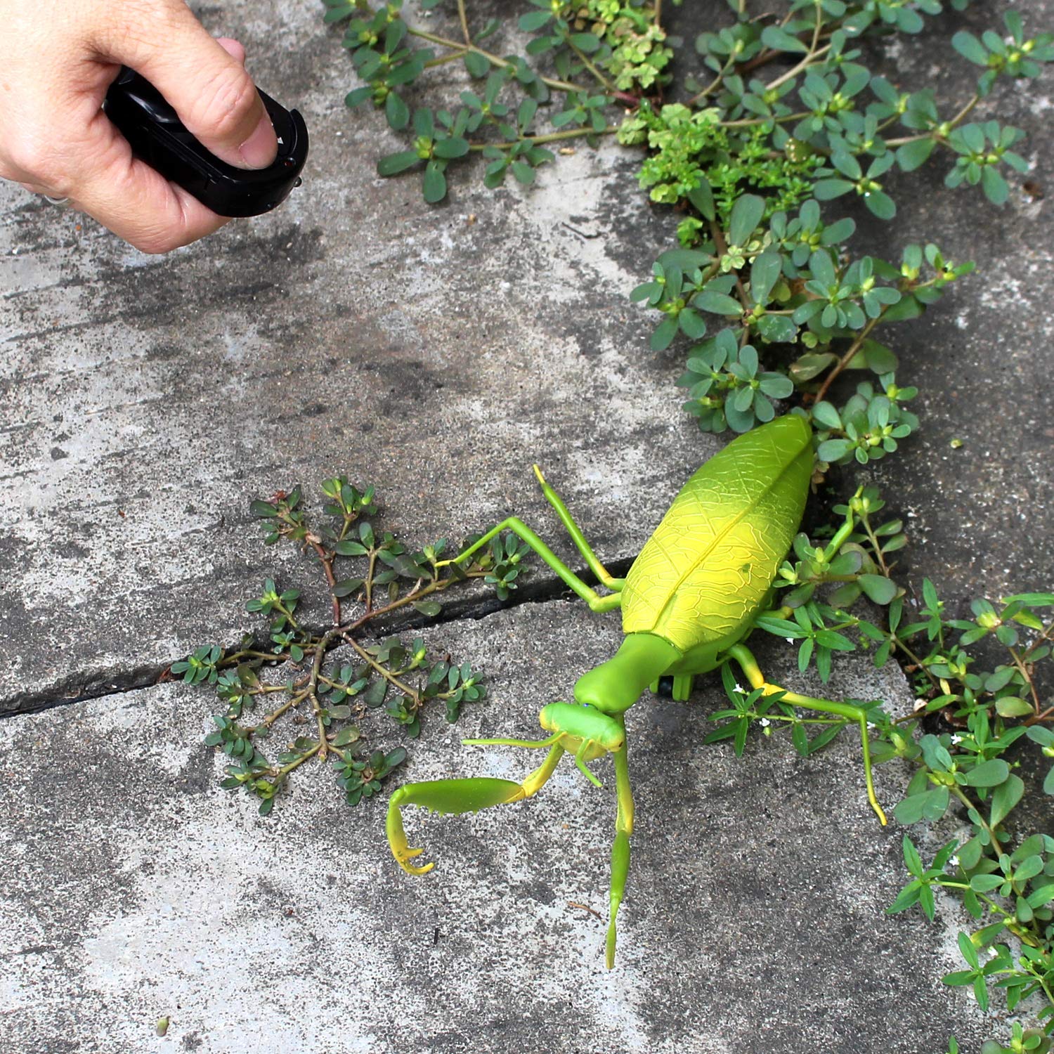 Tipmant RC Praying Mantis Toy IR Remote Control Animal Fake Car Vehicle ...