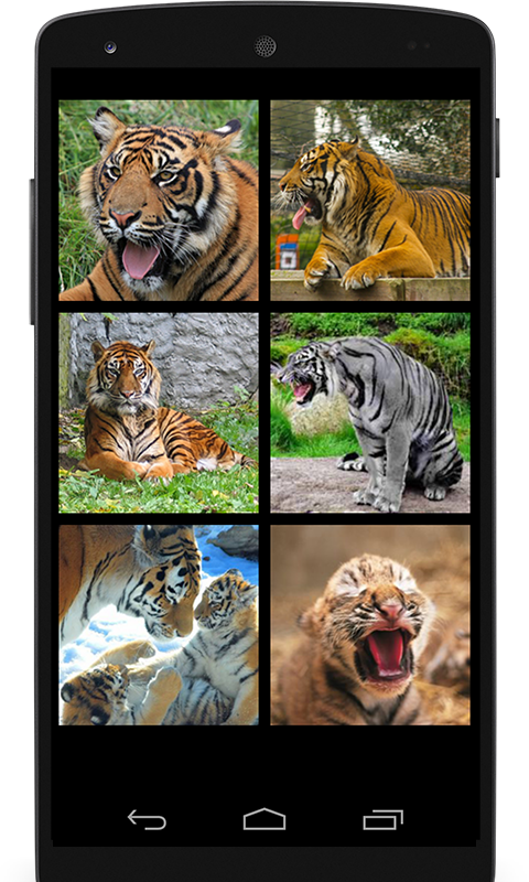 Tiger Sounds:Amazon.co.uk:Appstore for Android