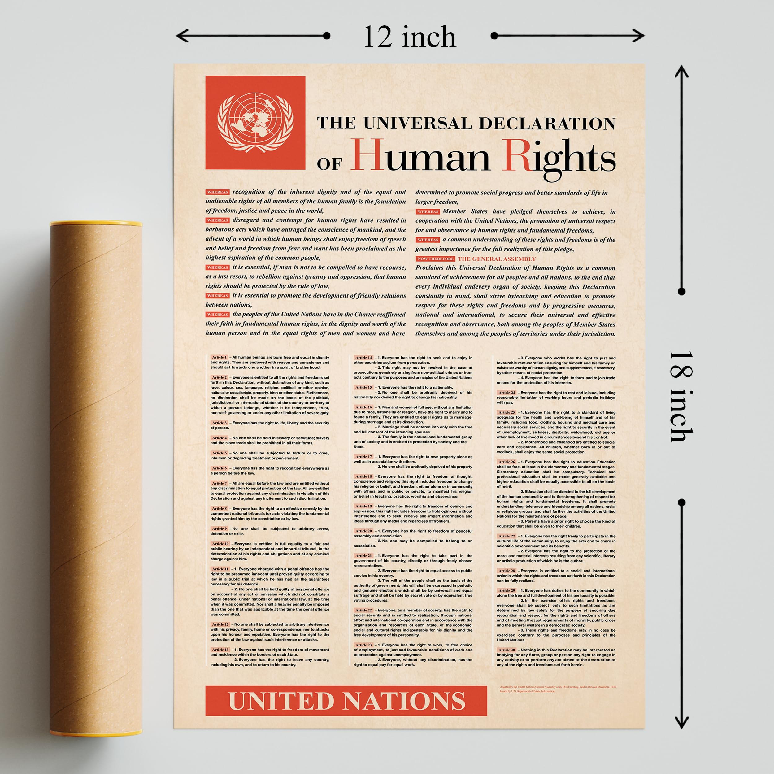 Universal Declaration Of Human Rights Poster Google 2,925 Universal