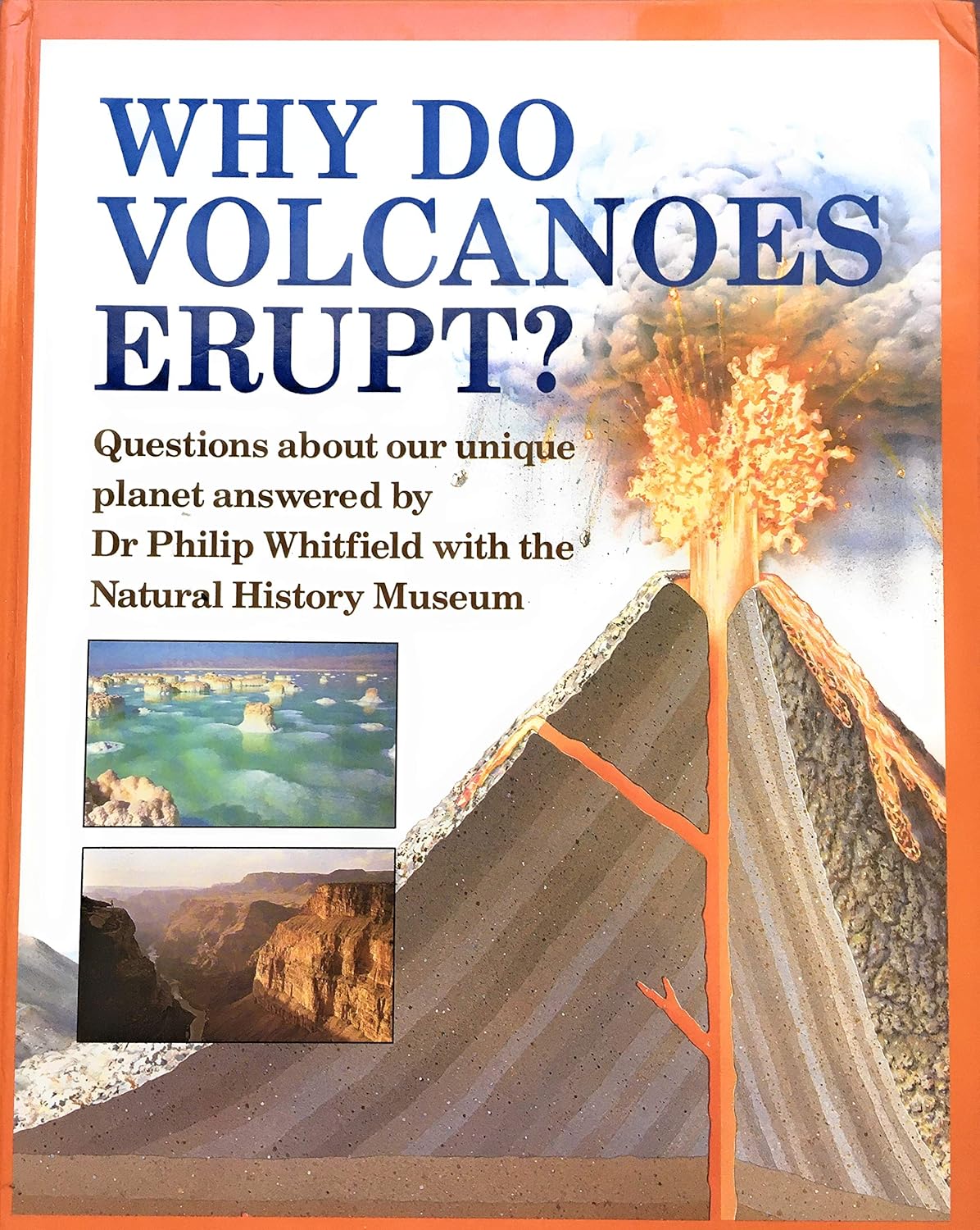 Why Do Volcanoes Erupt?: Whitfield, Philip: 9780670833856: Amazon.com ...