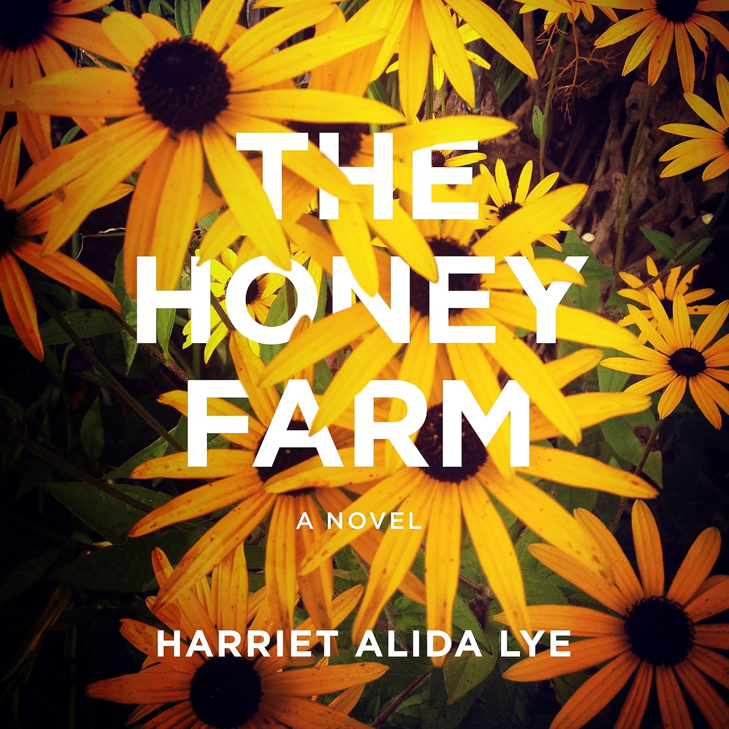 The Honey Farm: A Novel: Lye, Harriet Alida, Landon, Amy: 9781684412907 ...