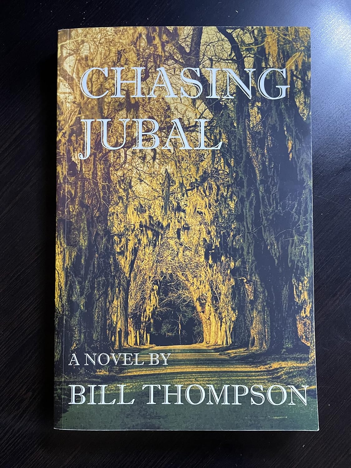 Chasing Jubal: Thompson, Bill: 9781630664626: Amazon.com: Books